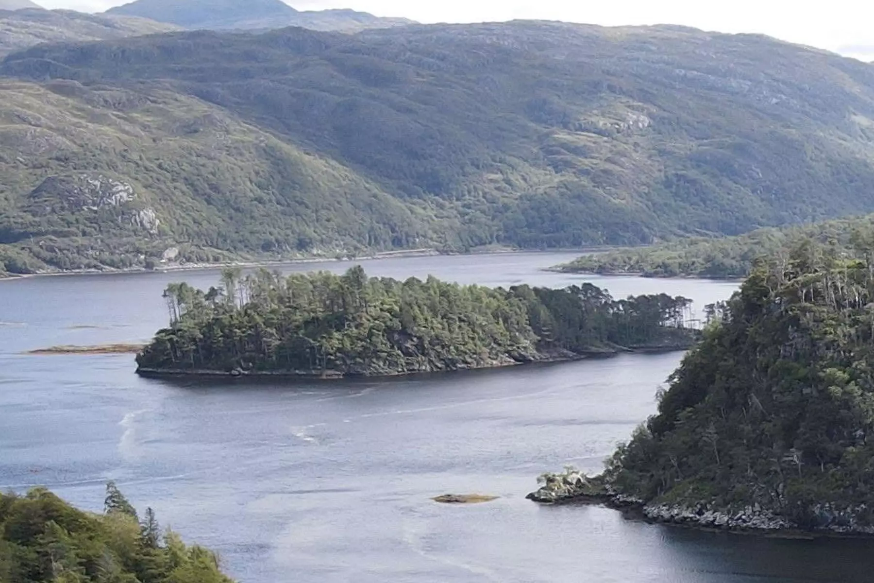 Isla Deer, Eilean an Fheidh, Loch Moidart, Tierras Altas de Escocia