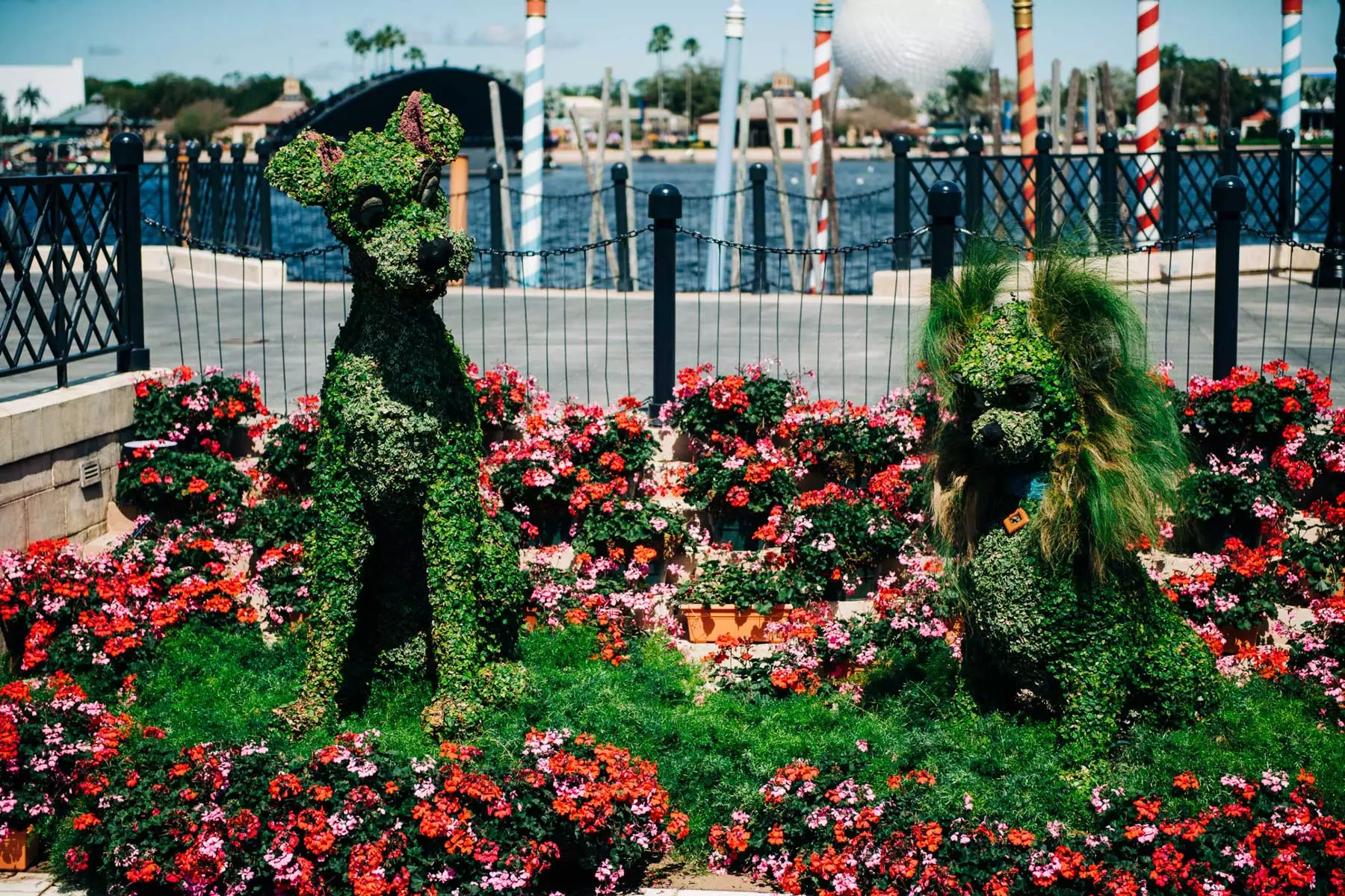 Lady & The Tramp topiaries EPCOTis