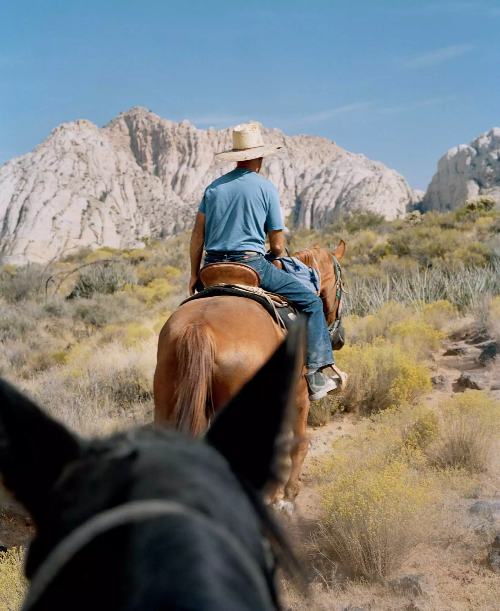 Jinetes y caballos en Snow Canyon