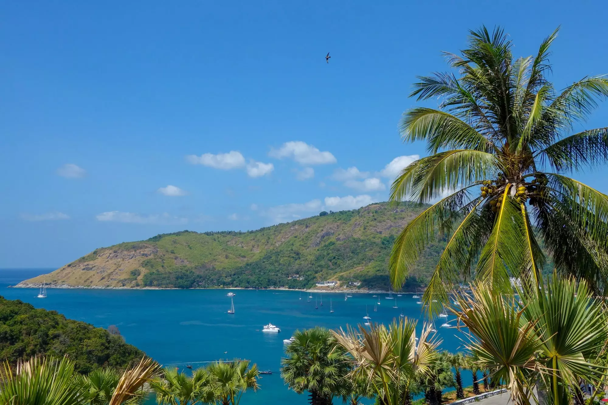 Phuket, Taýland