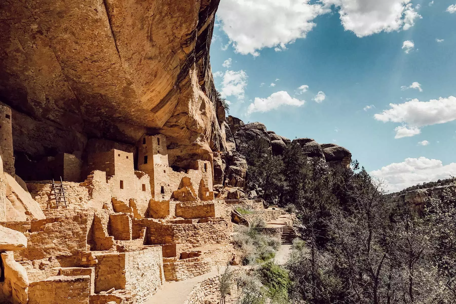 Klippeboliger ved Mesa Verde nasjonalpark i Colorado