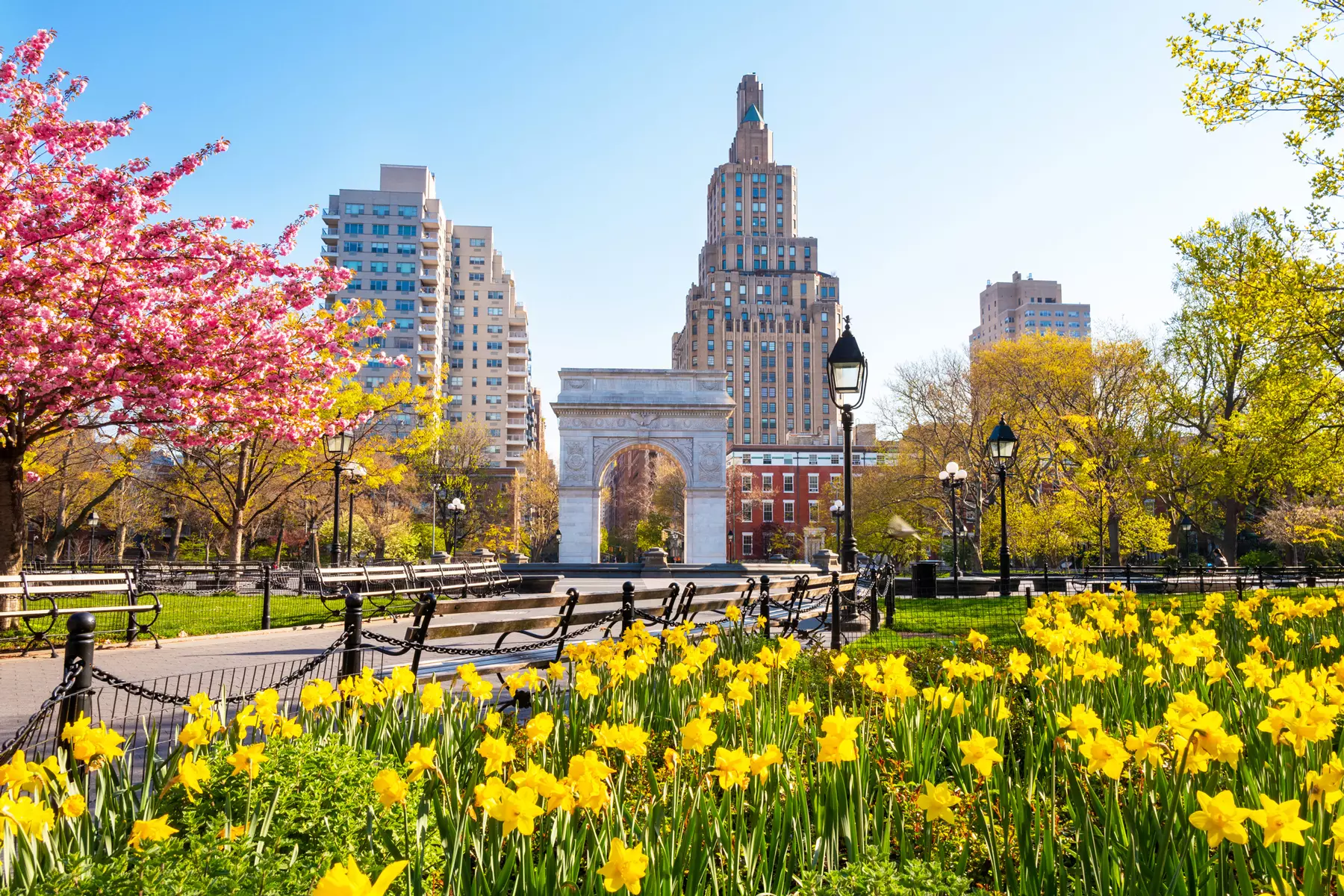 Kembang mekar ing Washington Square Park ing musim semi