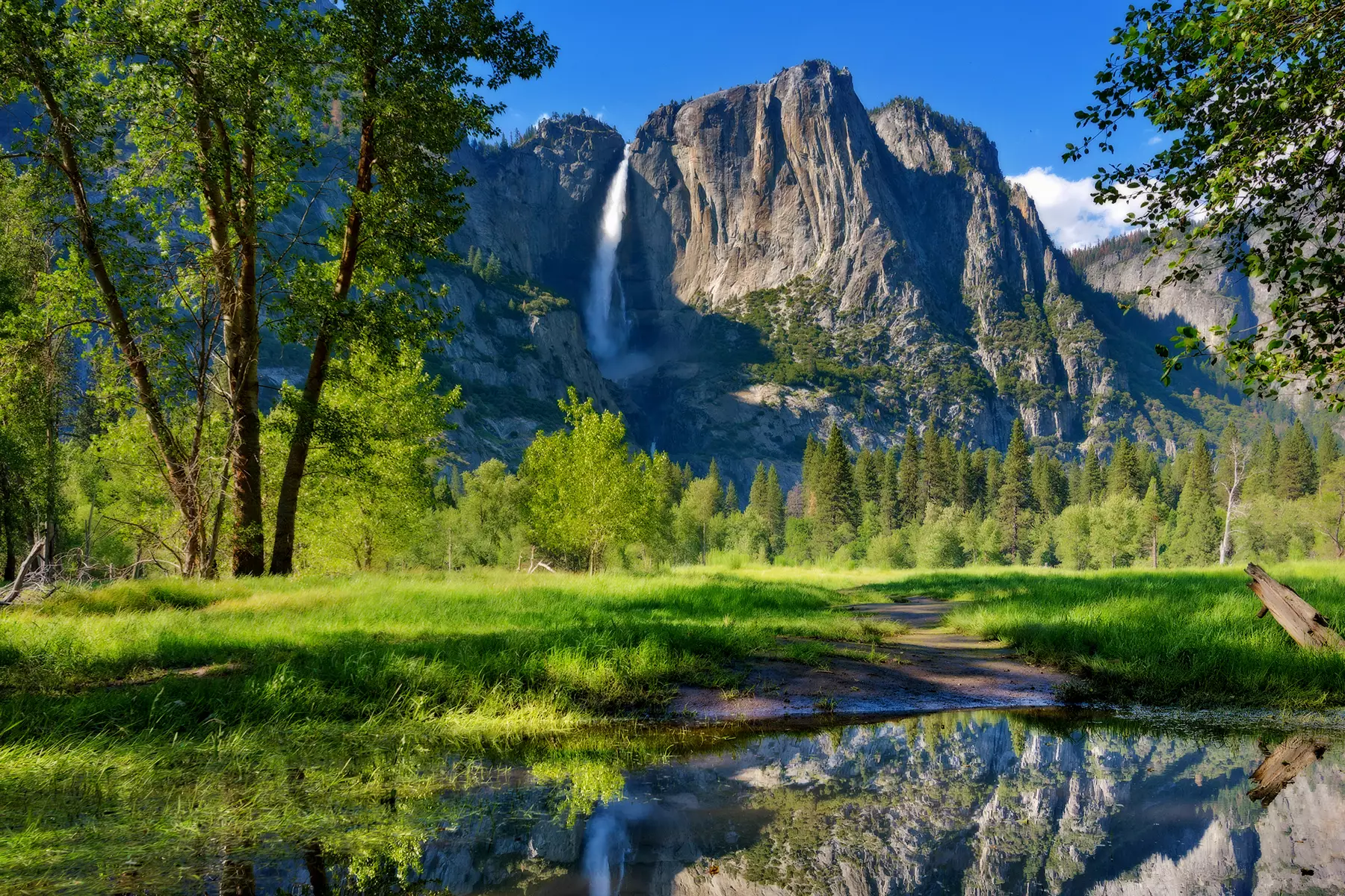 Yosemite Falls savršeno se odražavaju u ušću rijeke Merced uz okretni most, Nacionalni park Yosemite, Kalifornija