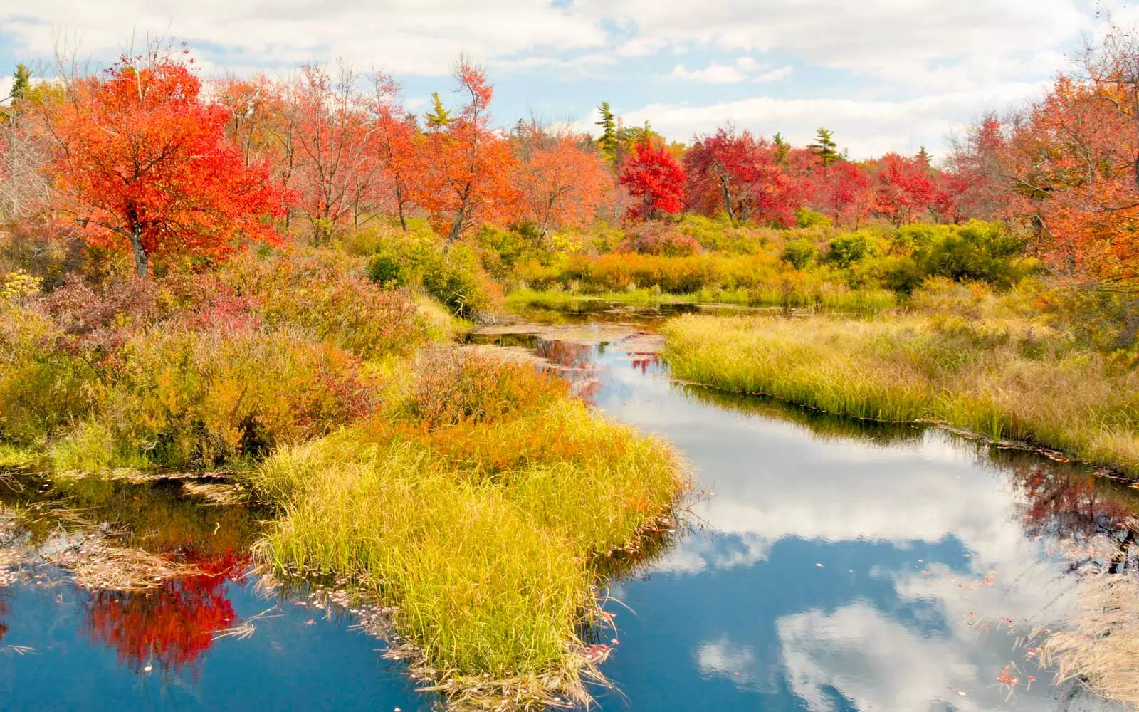 Pocono மலைகளில் வீழ்ச்சி