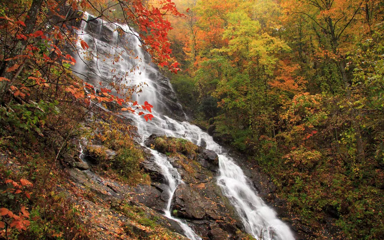 Държавен парк Amicalola Falls, Джорджия, през есента