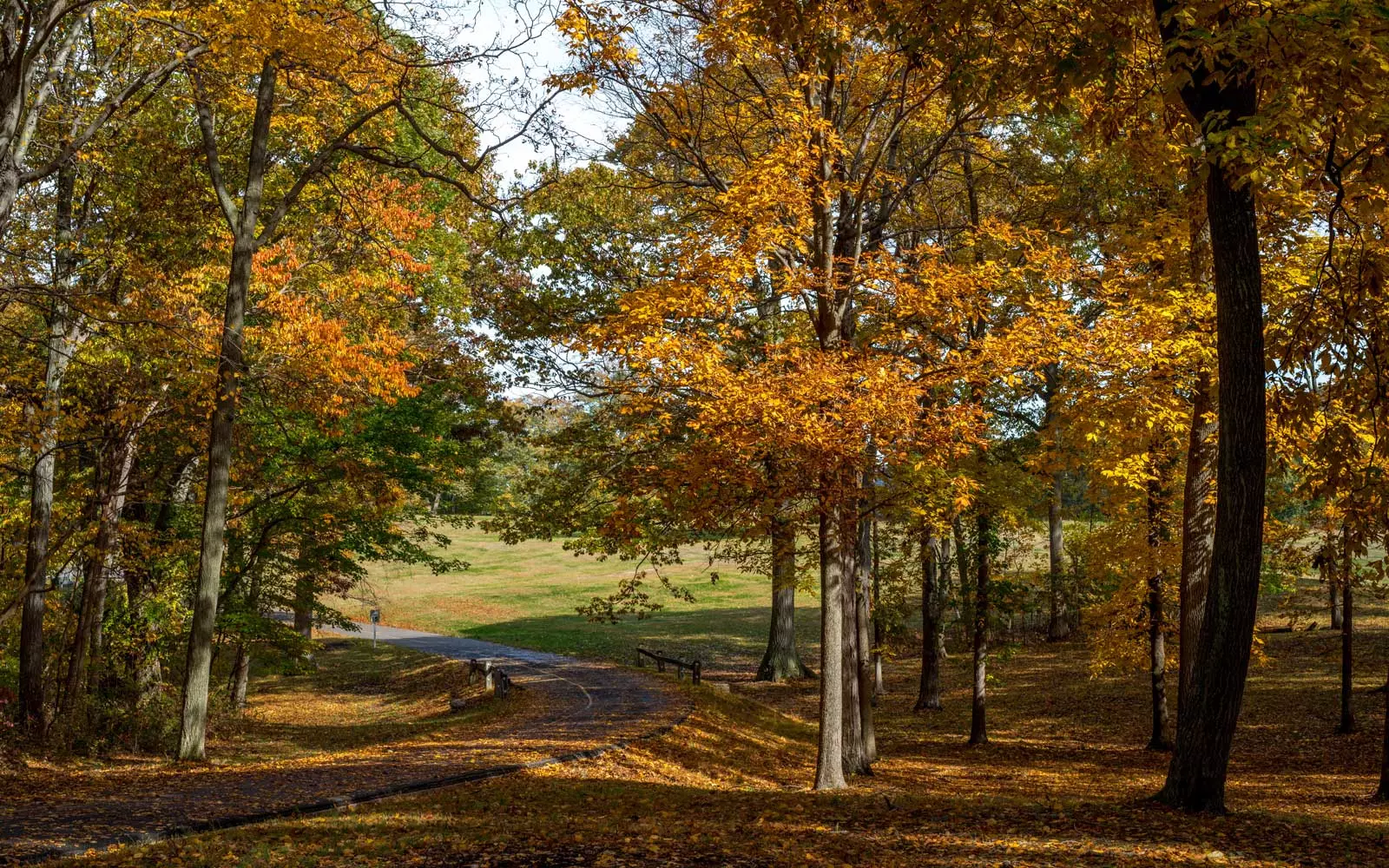 Caumsett þjóðgarðurinn, Long Island