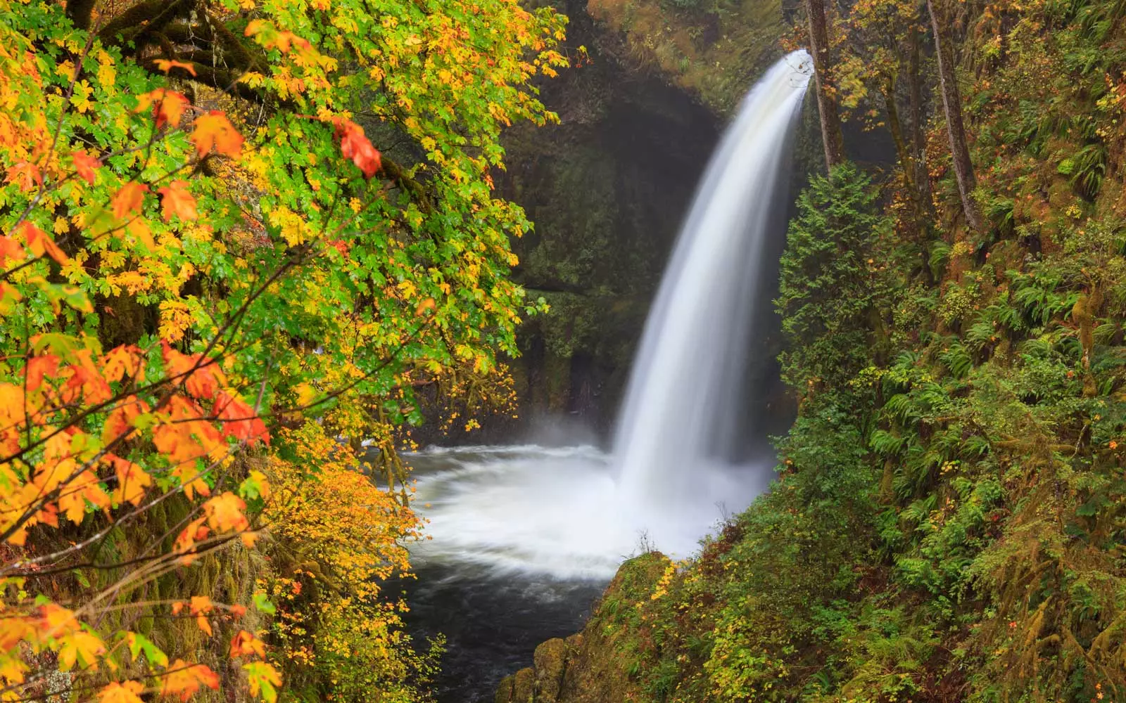 Cascate di Metlako, gola del fiume Columbia, Oregon