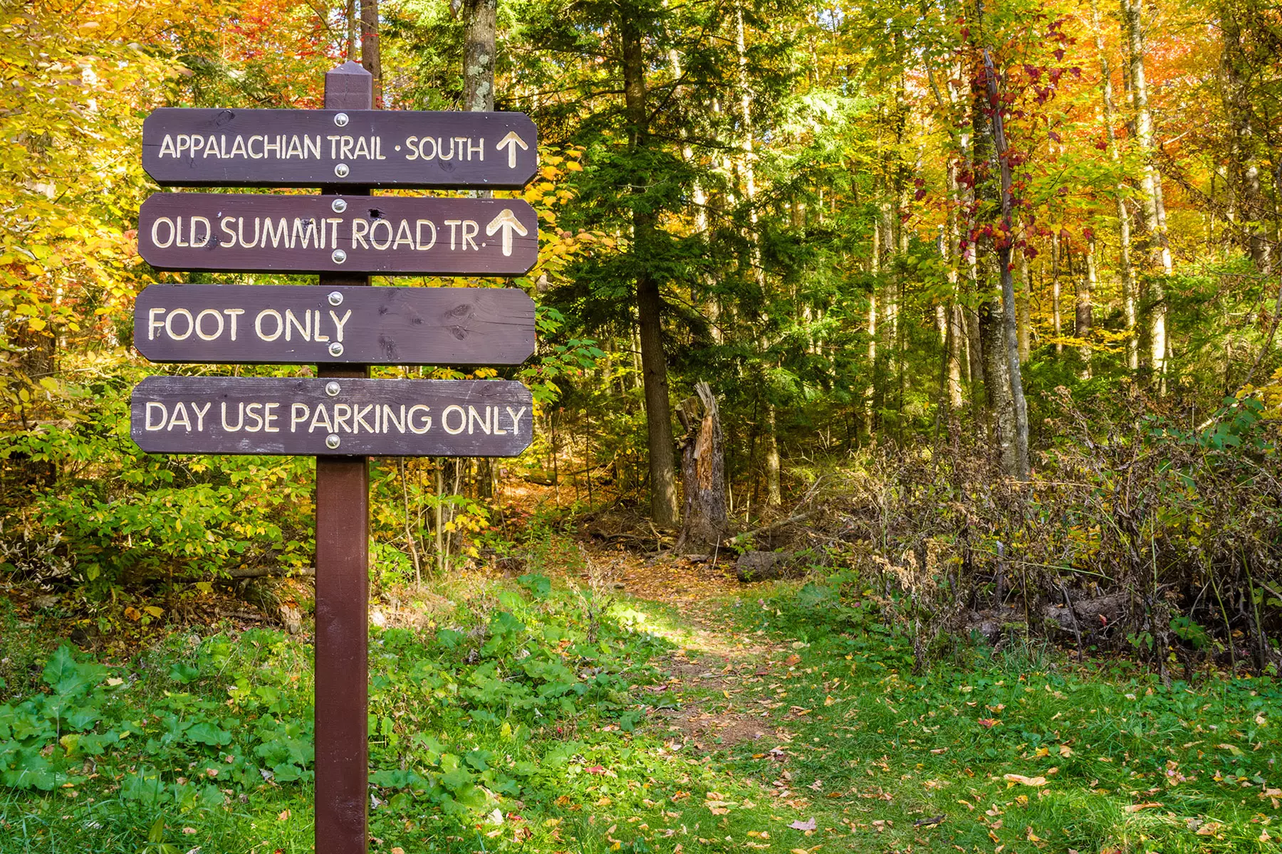 Informacije Drveni znakovi na početku planinskog puta. Mount Greylock, Berkshires, MA.