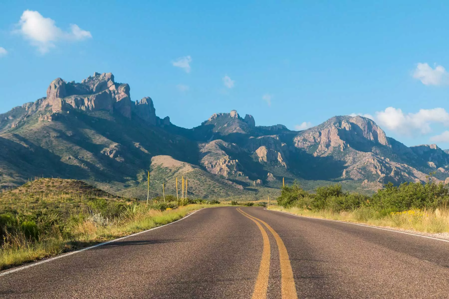 Pemandangan lanskap Taman Nasional Big Bend