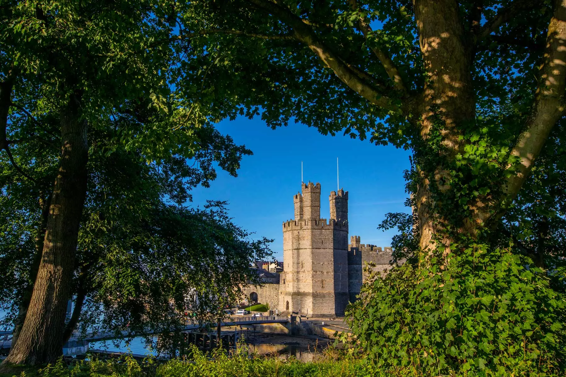 Näkymä historiallisen Caernarfonin linnan puiden läpi Caernarfonin kaupungissa Pohjois-Walesissa, Isossa-Britanniassa.