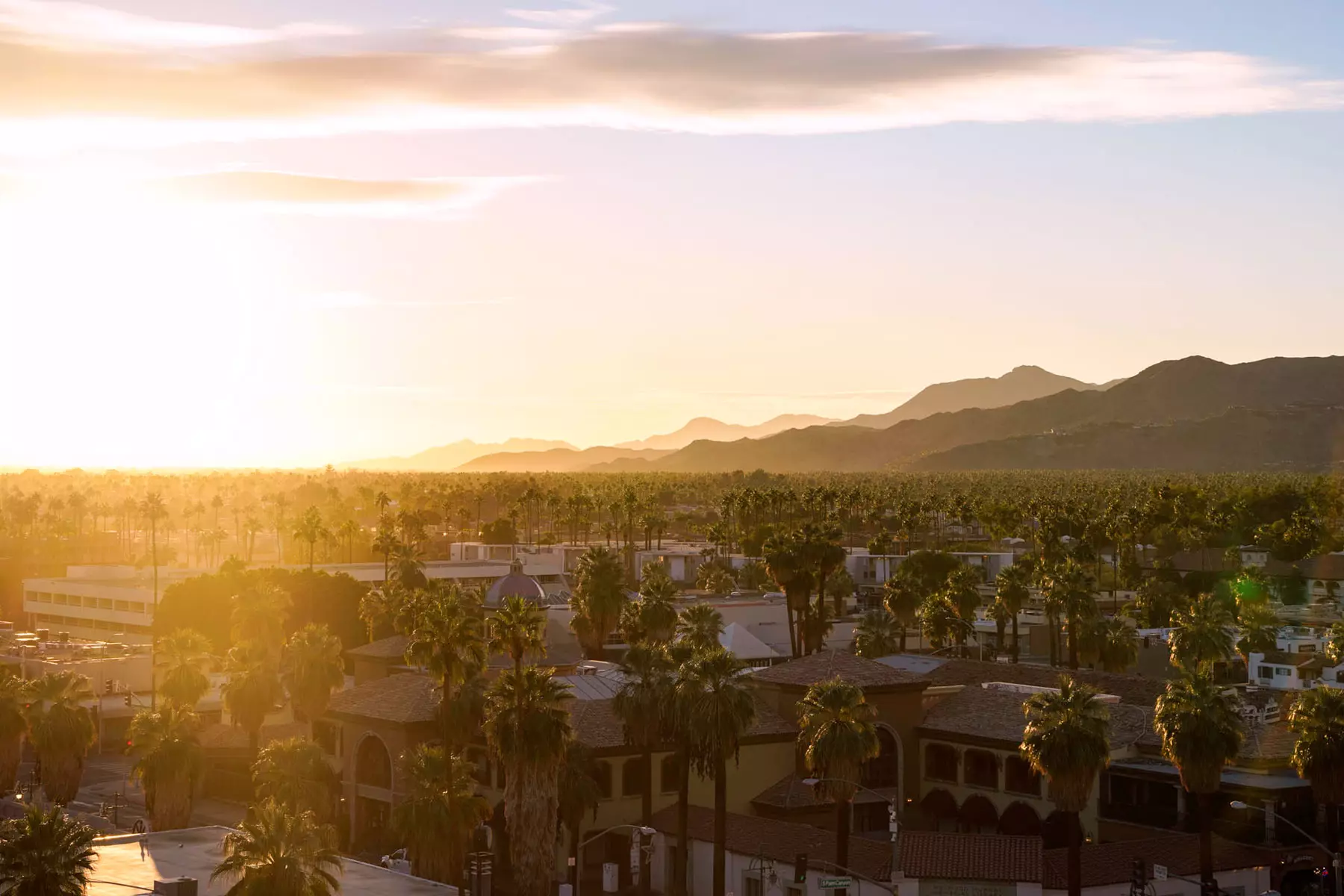 Soluppgångens ljus är gyllene när han träffar palmerna i Palm Springs, Kalifornien
