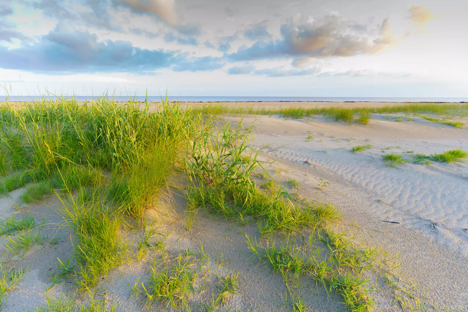 Kyawawan, dumi, rana maraice a kan dunes a Holly Beach tare da Gulf of Mexico a baya.