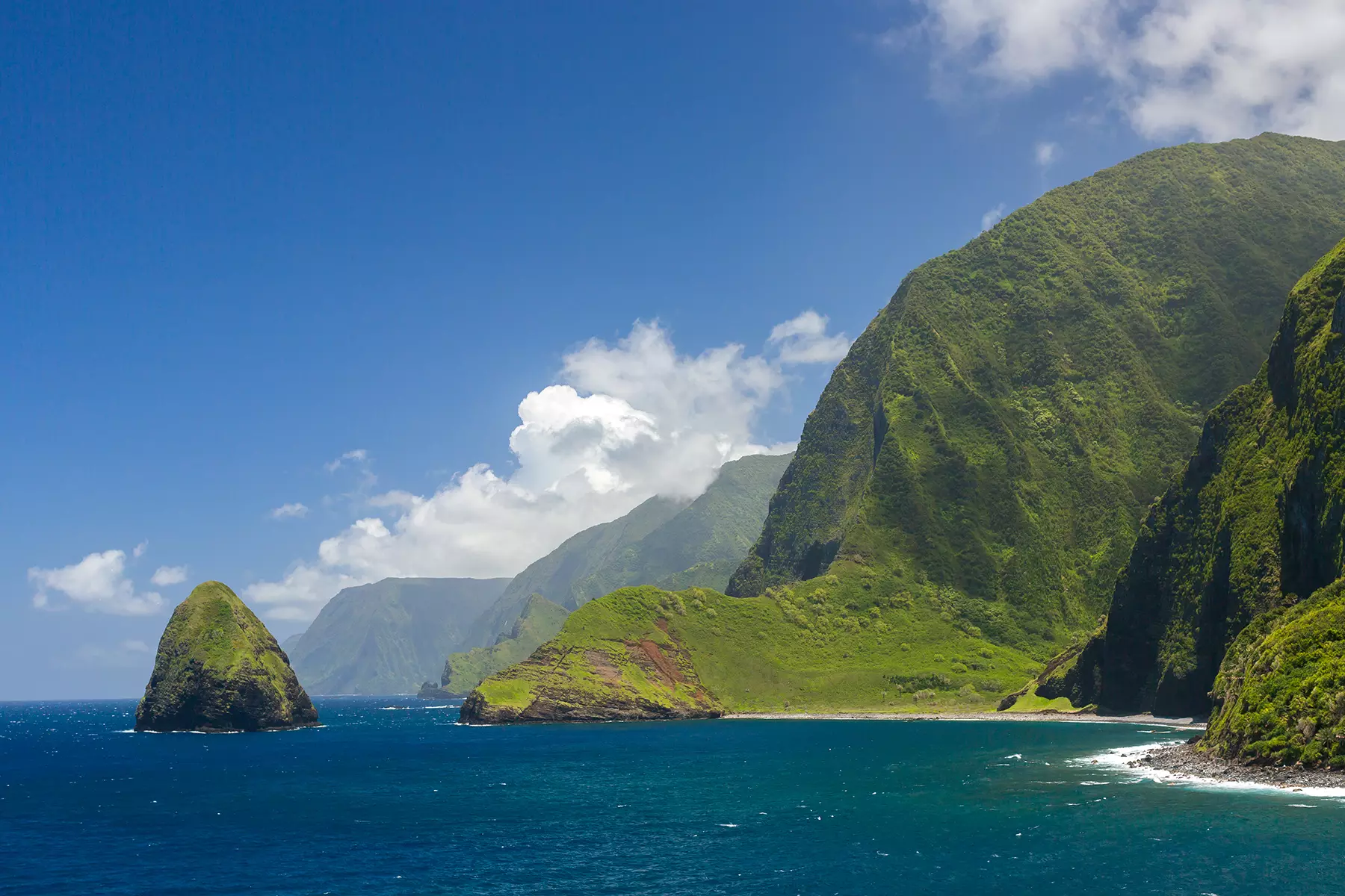 Mavi səmada dünyanın ən hündür dəniz qayalıqları Molokai parlaq gün işığı, Molokai, Havay.