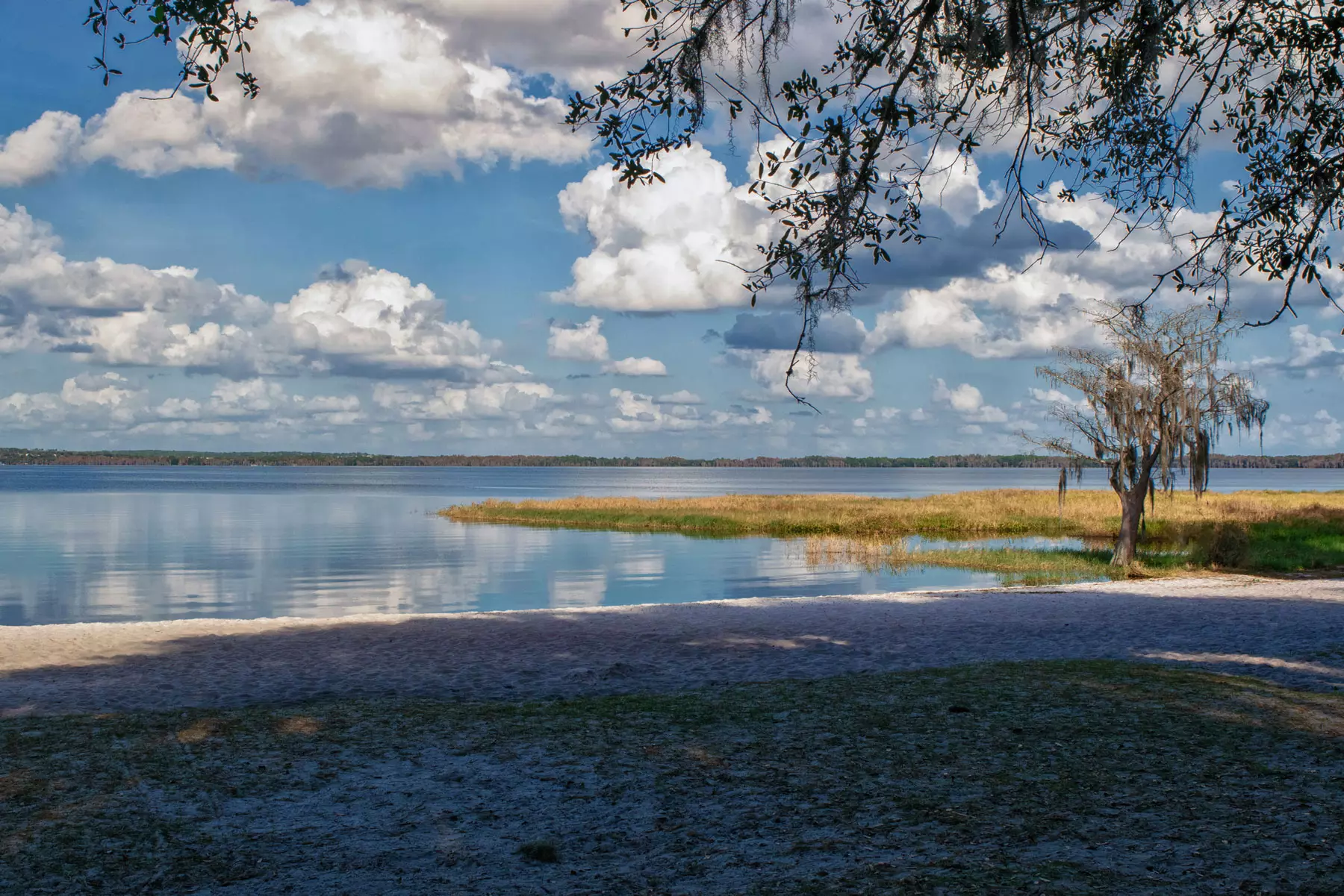 ច្រាំងបឹងនៅ Clermont រដ្ឋ Florida