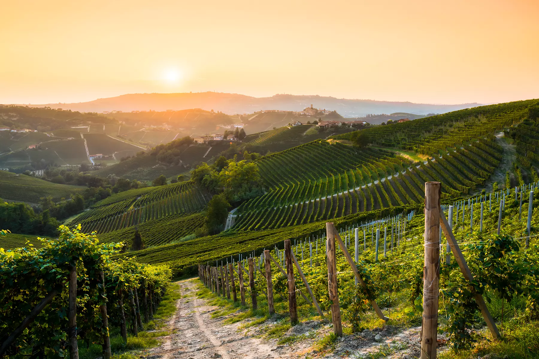 Rezên Barolo di rojavabûnê de, herêma şerabê Langhe, Italytalya