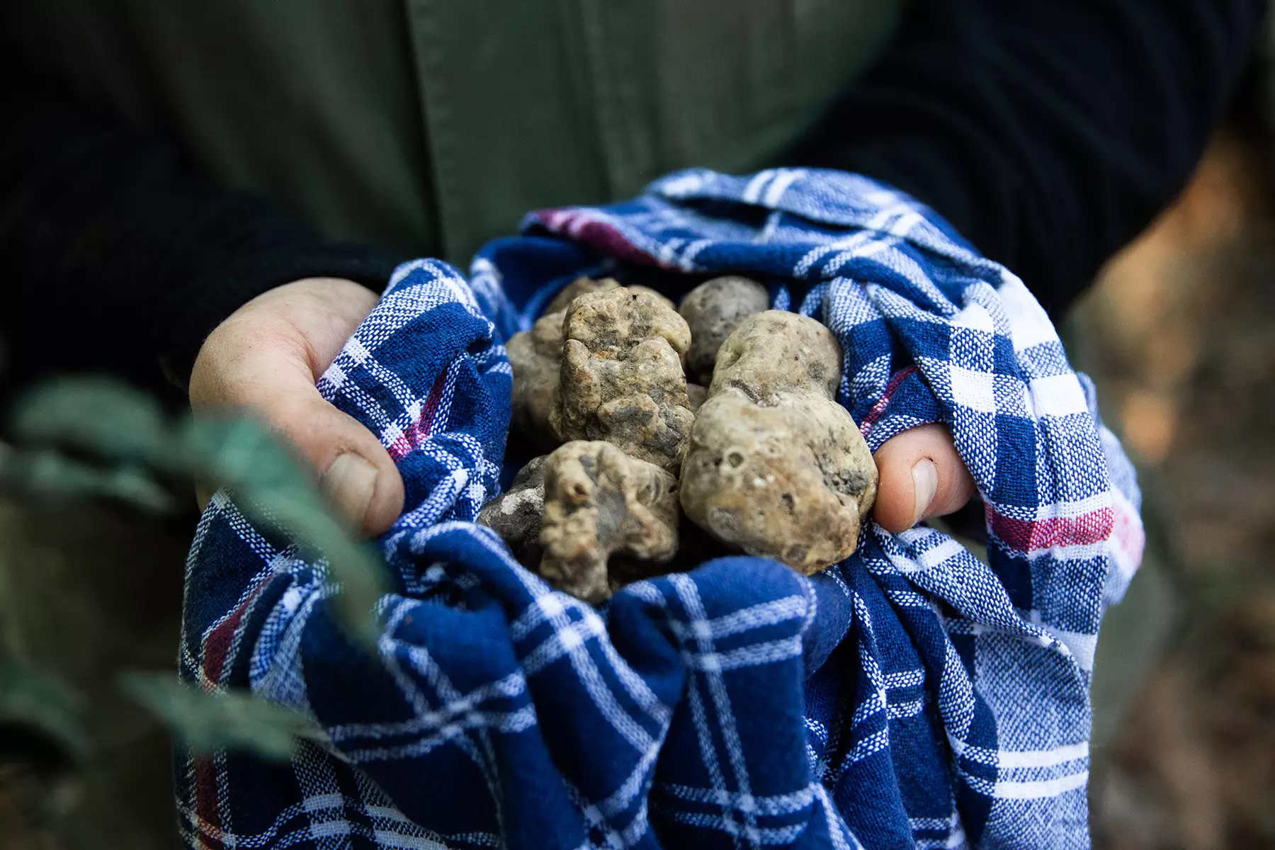 Isang tela na puno ng mga truffle mula sa Casa di Langa