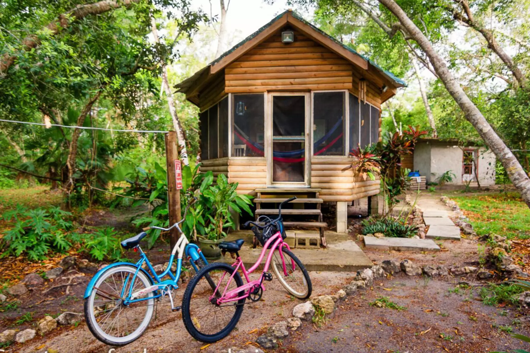 Eco Friendly Monkey Cabin y bicicletas Airbnb