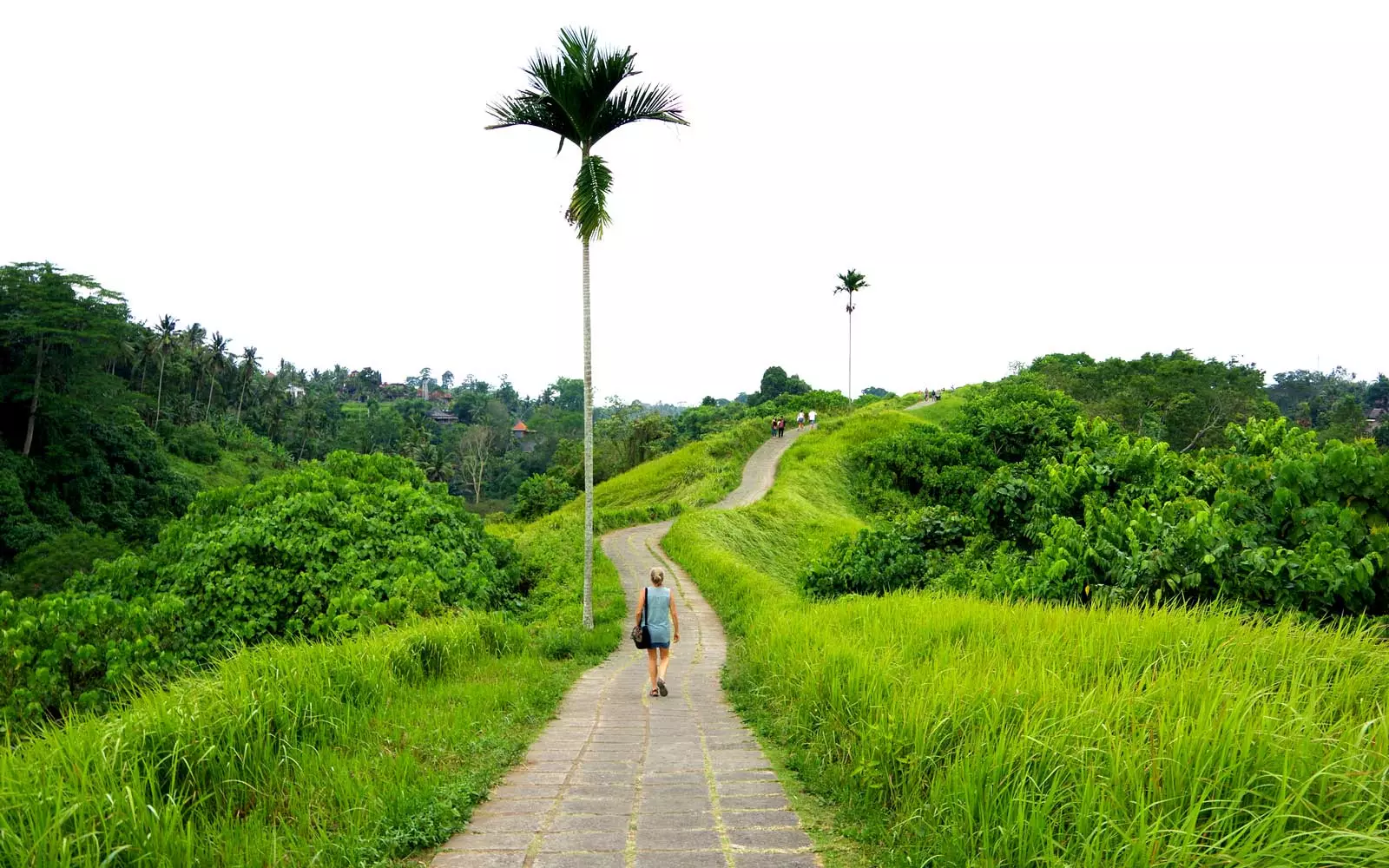 Siúlóid iomaire Campuhan - Ubud - Bali- An Indinéis