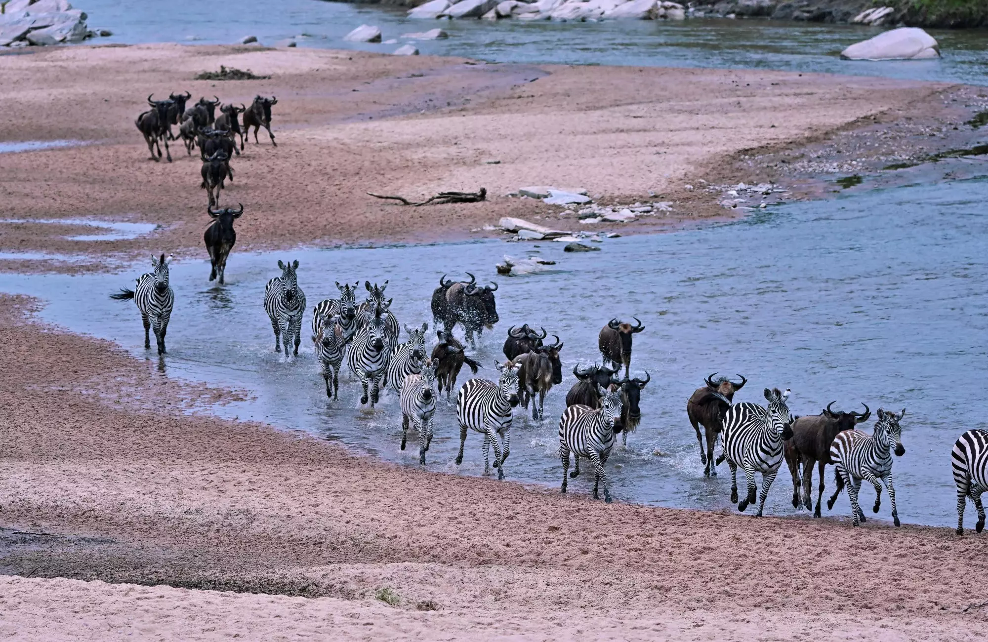 Reserva Nacional Masai Mara do Quênia