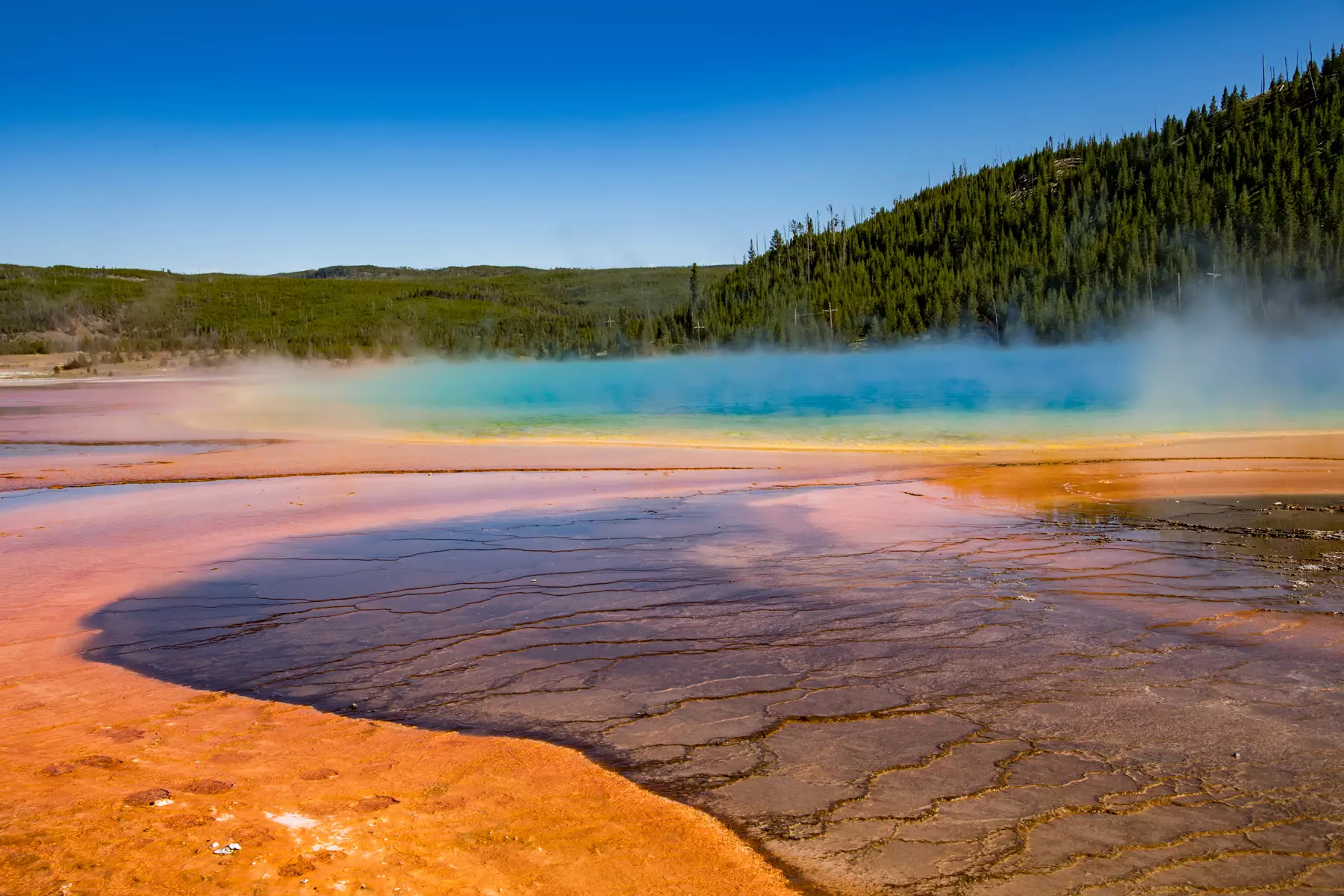 Suối nước nóng Grand Prismatic Spring được nhìn thấy ở Lưu vực mạch nước phun Midway, Công viên Quốc gia Yellowstone