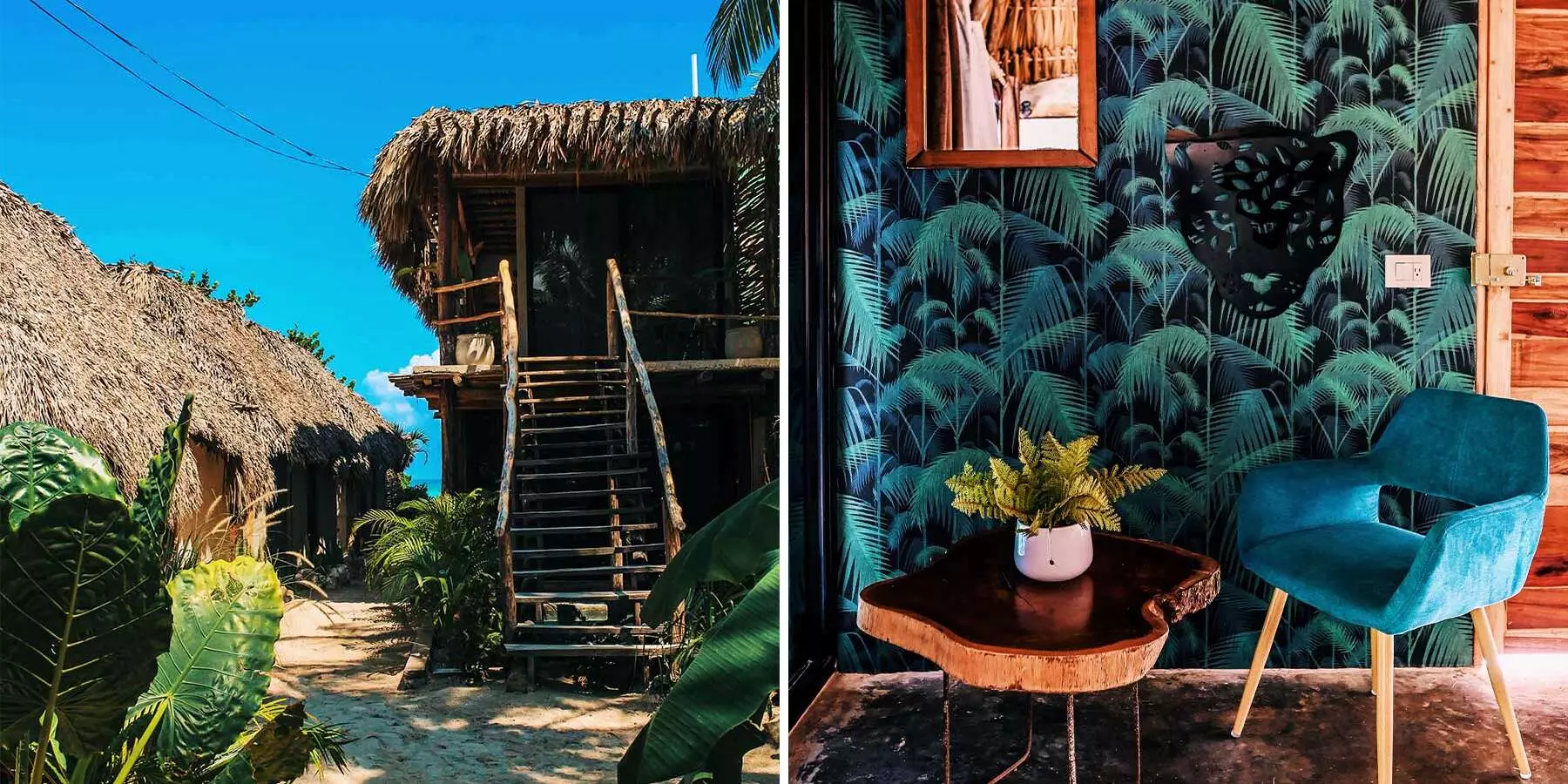 Hoteli hizi kwenye Pwani ya Mashariki ya Meksiko Zinaanzia Tropical Modernist hadi Boho-chic