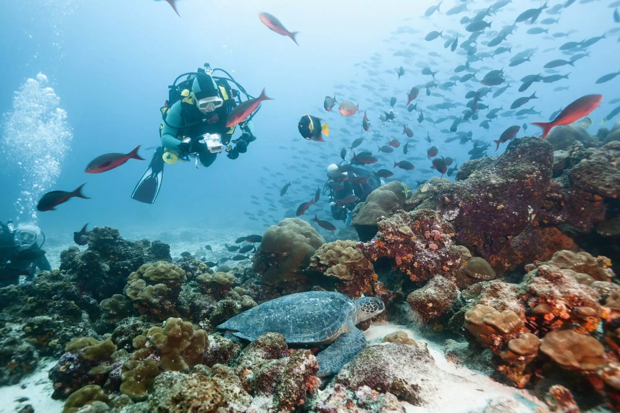 Galapagos Islands, Ecuador