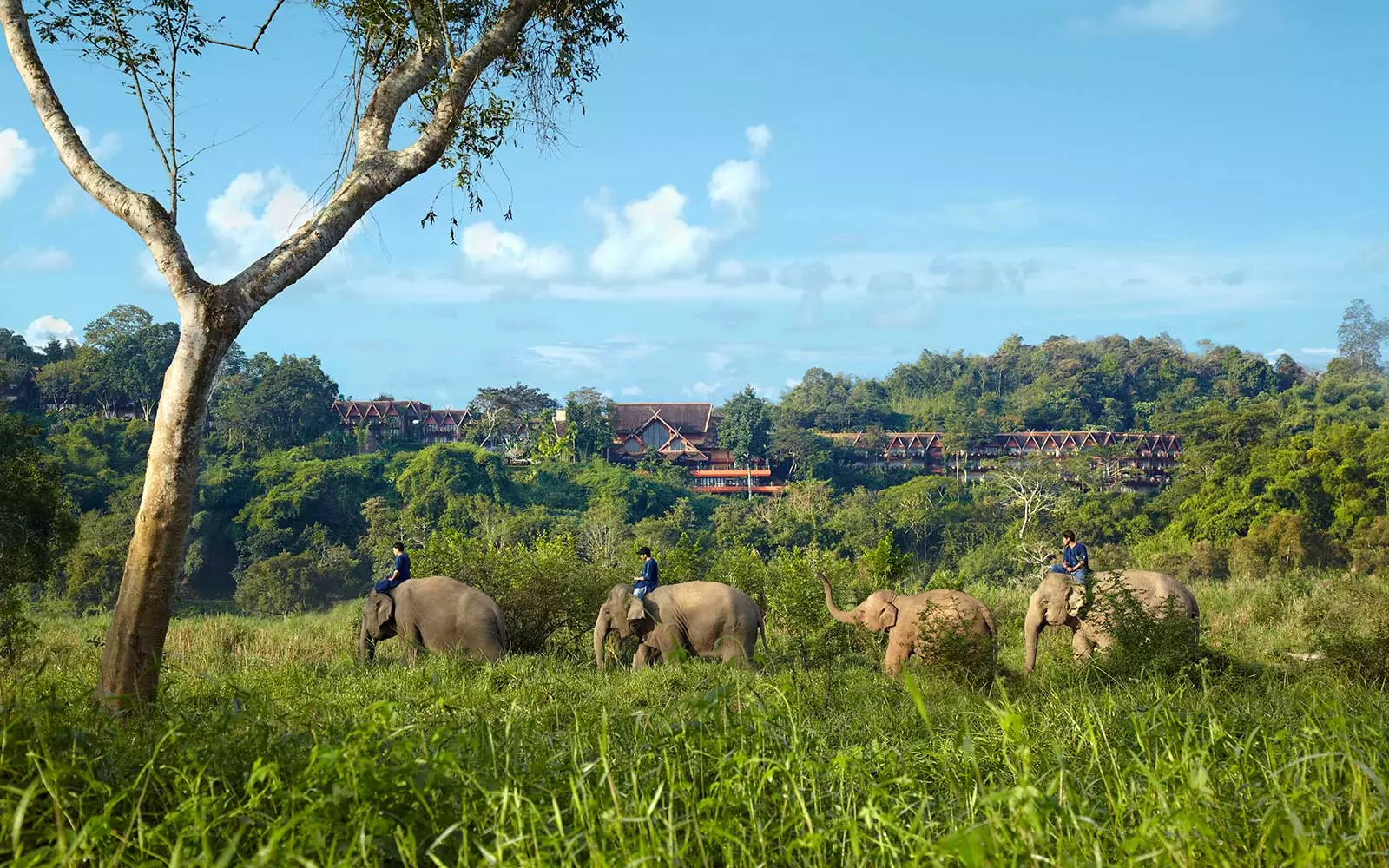 Лагерь и курорт Anantara Golden Triangle Elephant, Таиланд