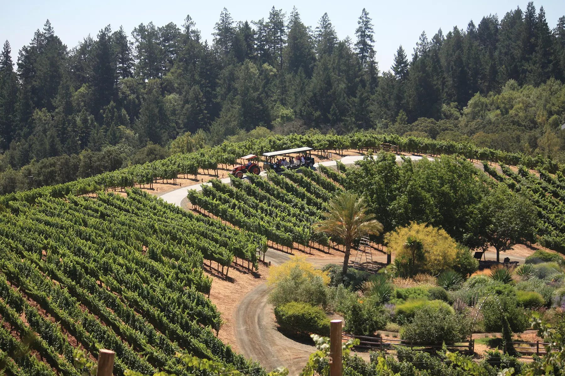 Iyo BioD Tram Tour & Insectory paBenziger Family Winery