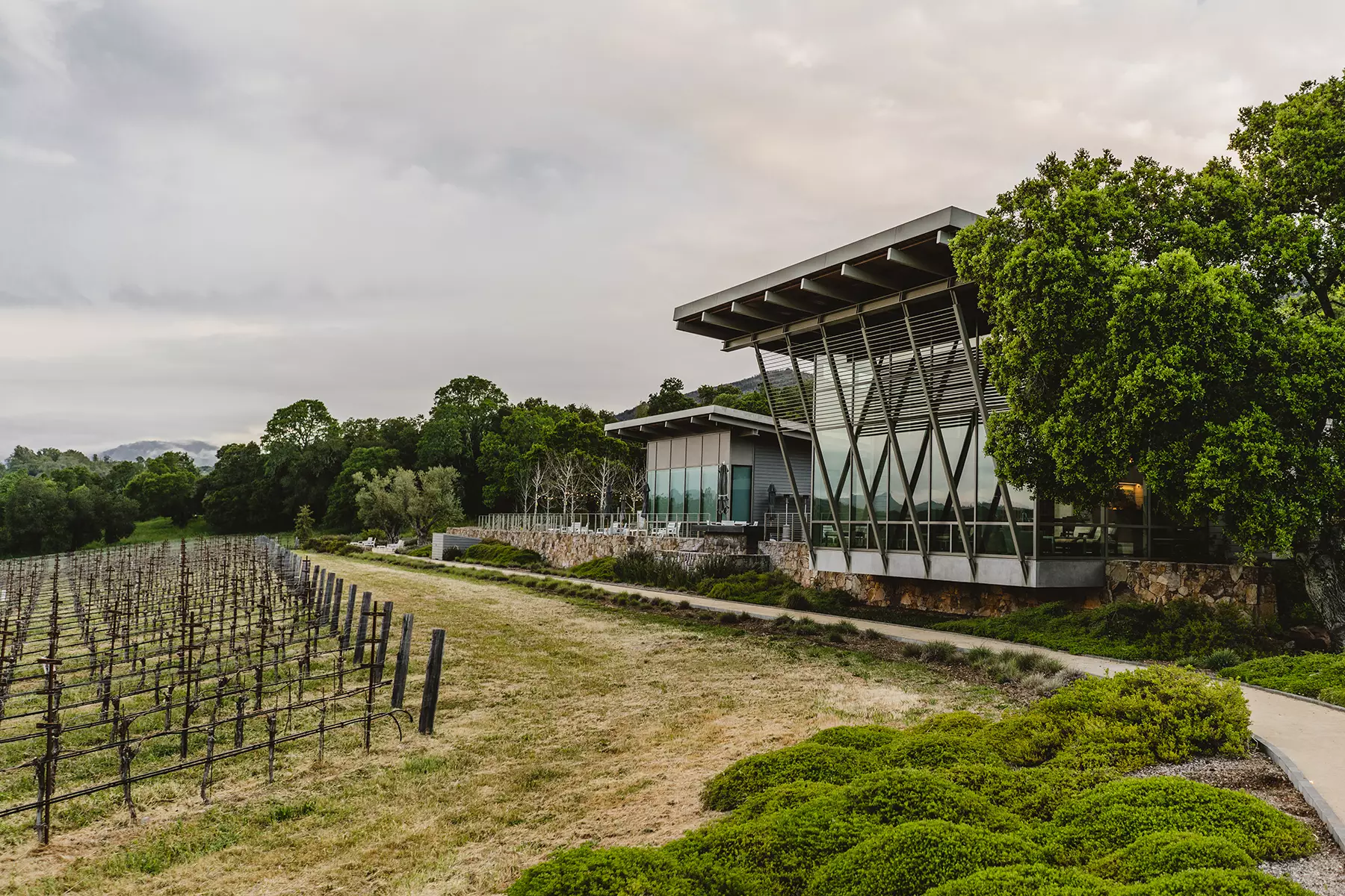 Vingård og smagerum på Hamel Family Wines