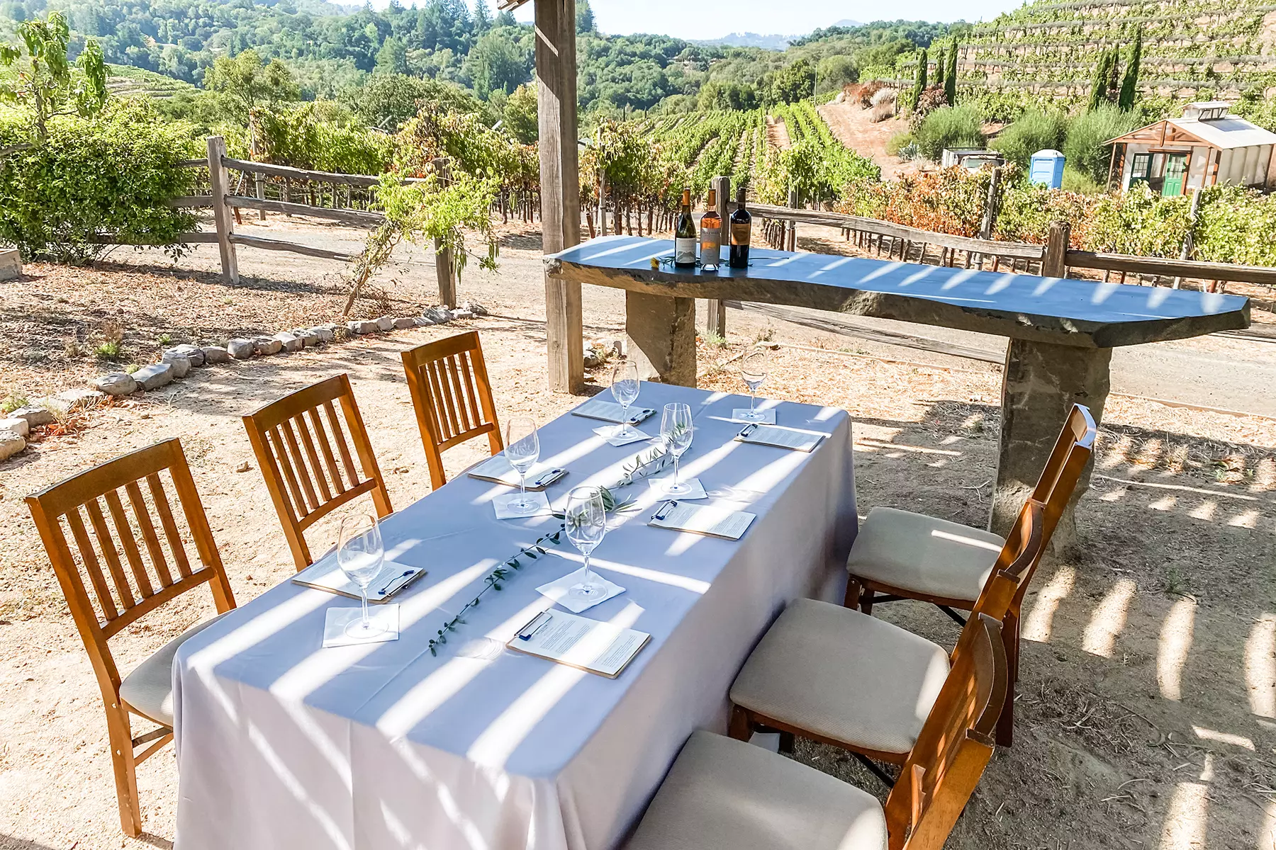 Tour Terrace-gustumado ĉe Benziger Family Winery