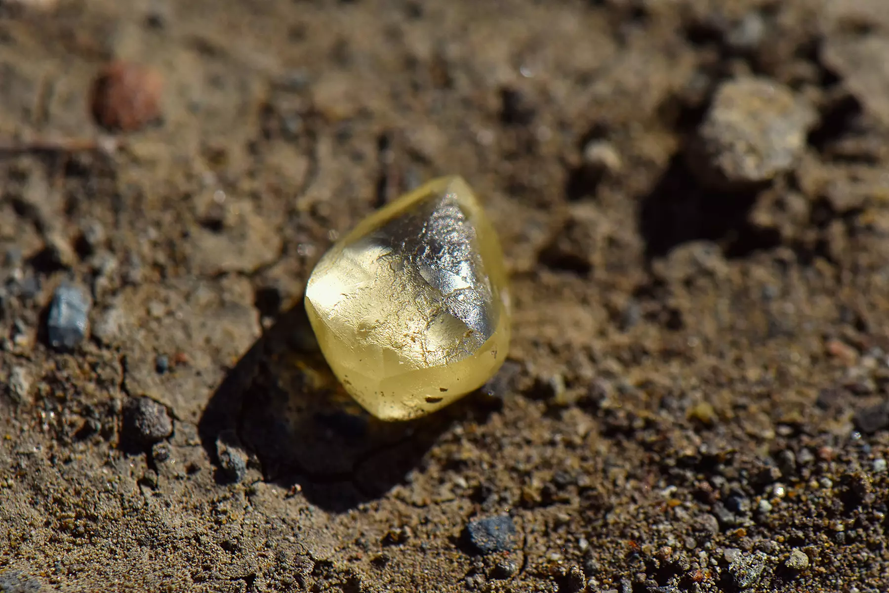Berlian Lucy dalam kotoran yang ditemui oleh Noreen Wredberg