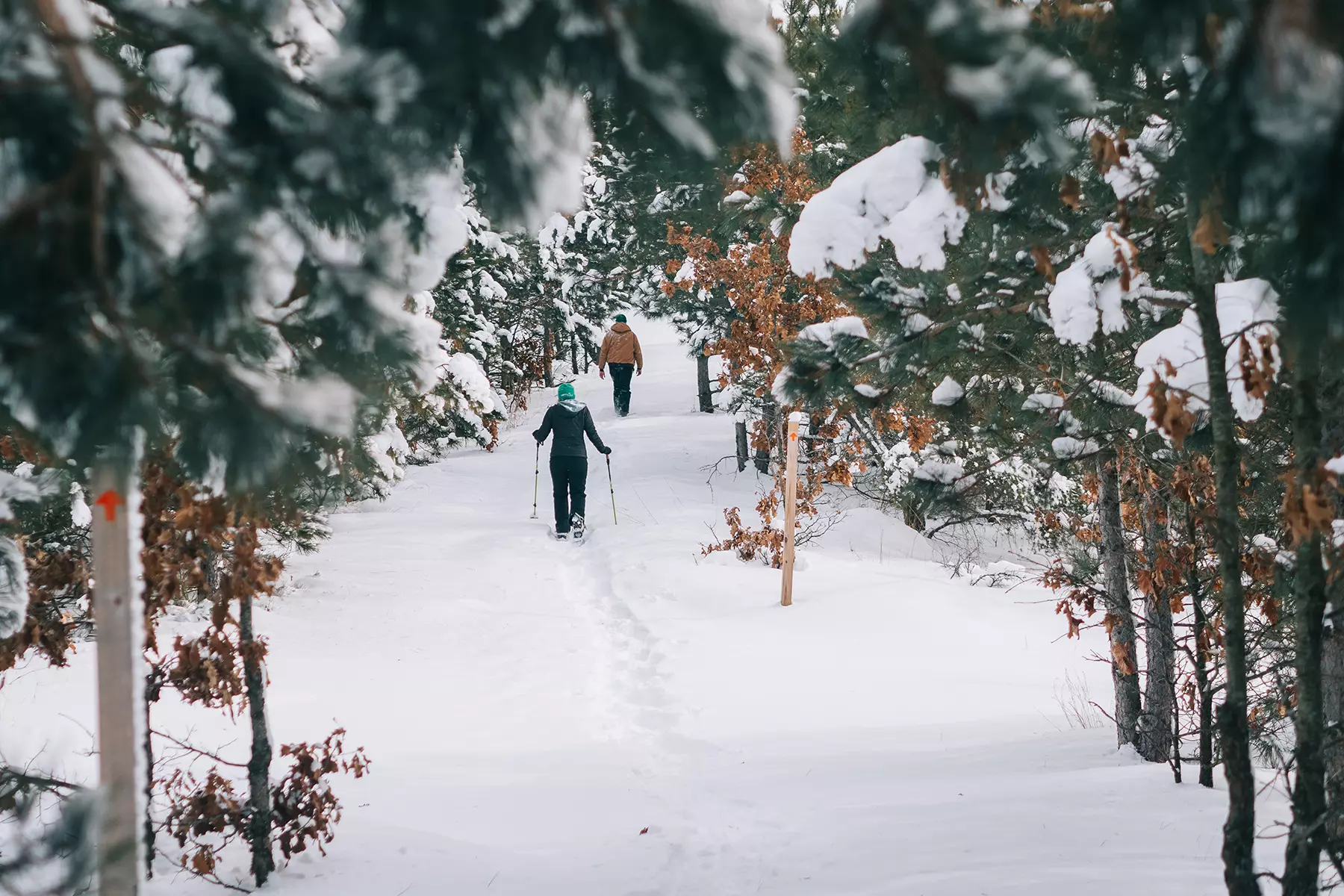 Snowshoeing at Sand Valley