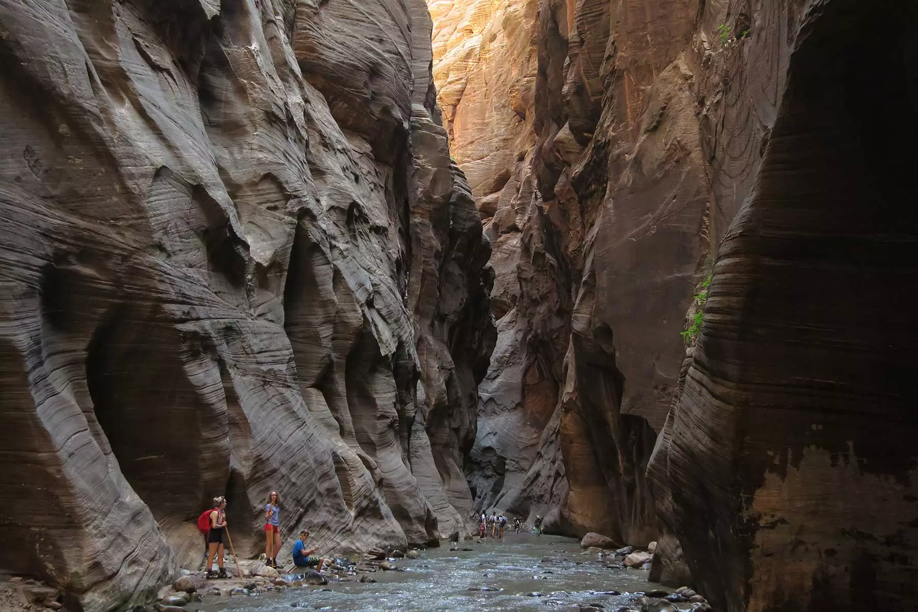 Narrows v narodnem parku Zion v Utahu