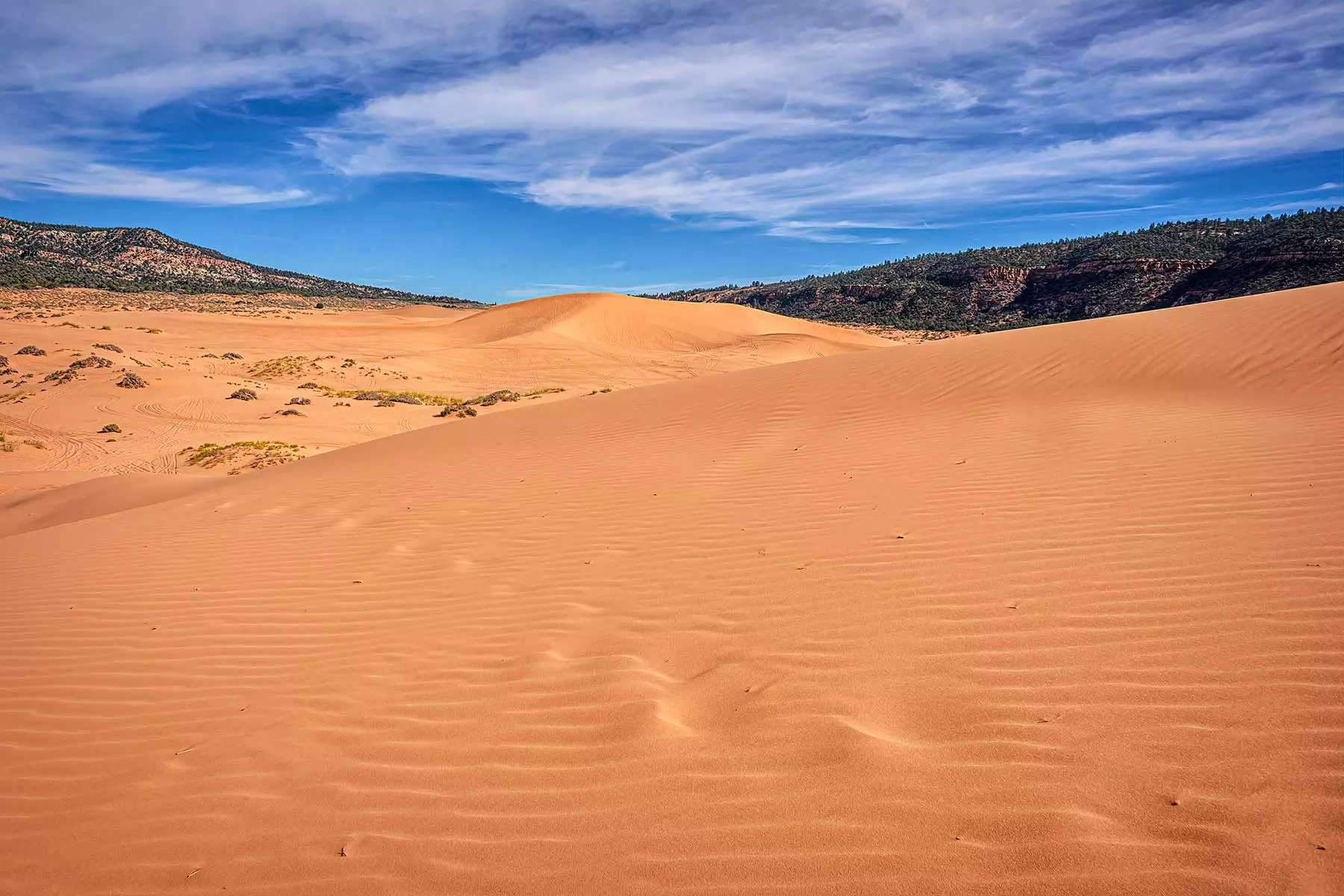 Coral Pink Sand Dunes State Park a Utah