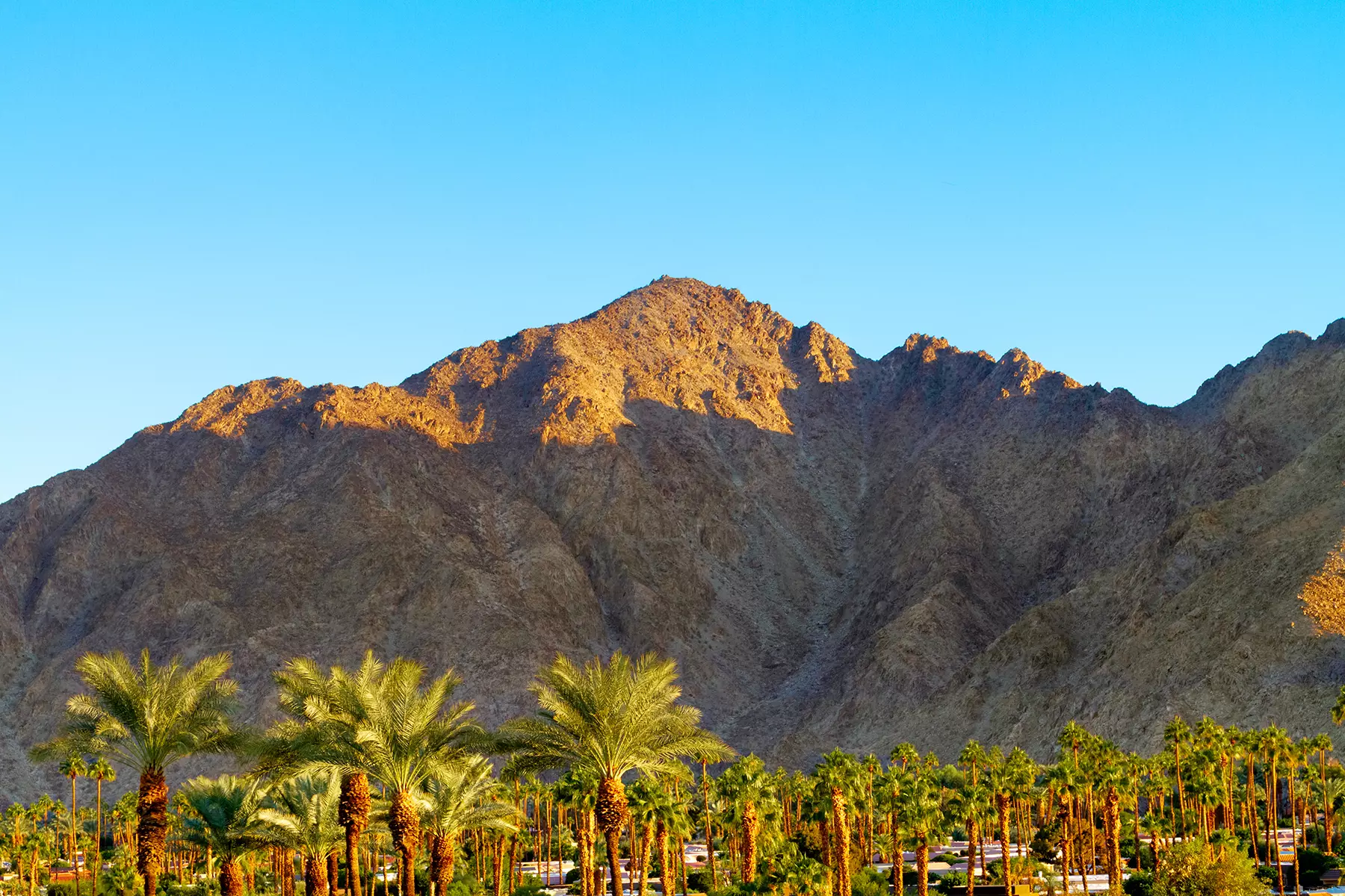 Mountain Peak mat Palmen bei Indian Wells, Kalifornien