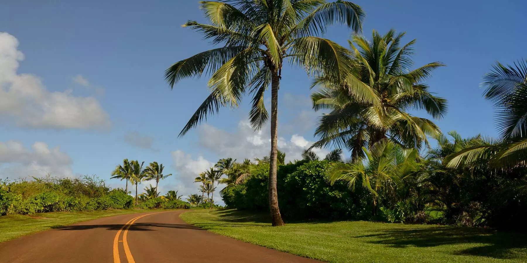 Mae Ffordd Newydd o Fynd o Gwmpas Hawaii Heb Orfod Rhentu Car: Holoholo Rideshare