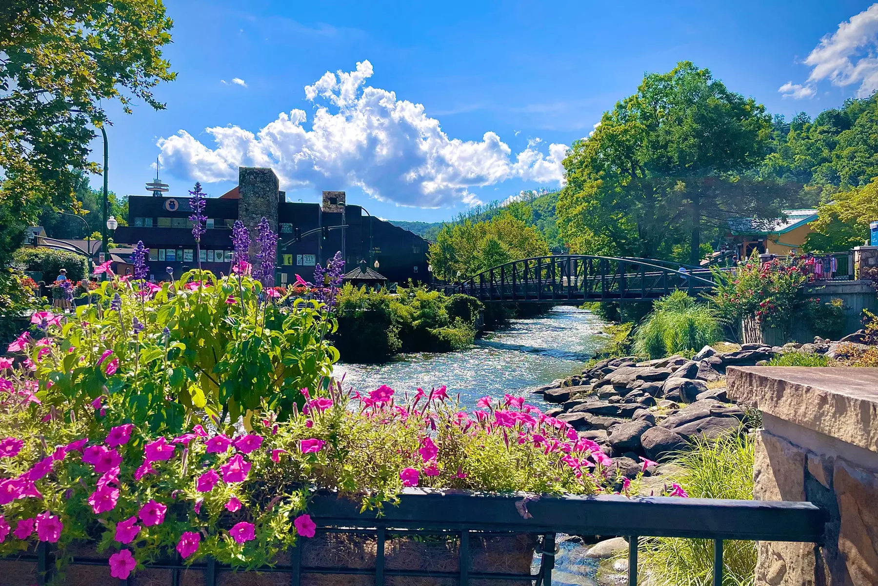 Pasarelas de East TN Mountain Trails en Gatlinburg, TN