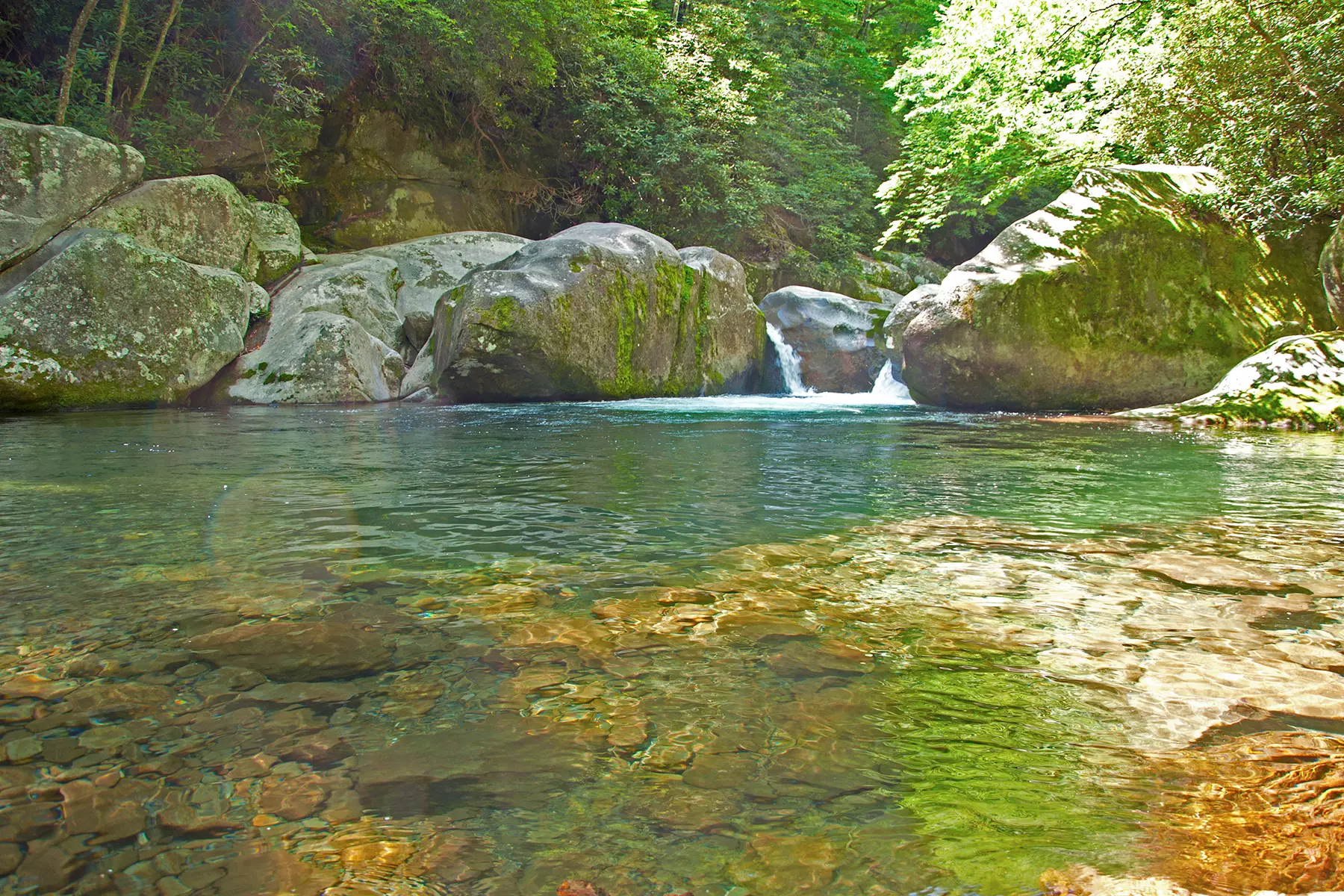 Twou minwi nan Great Smoky Mountains