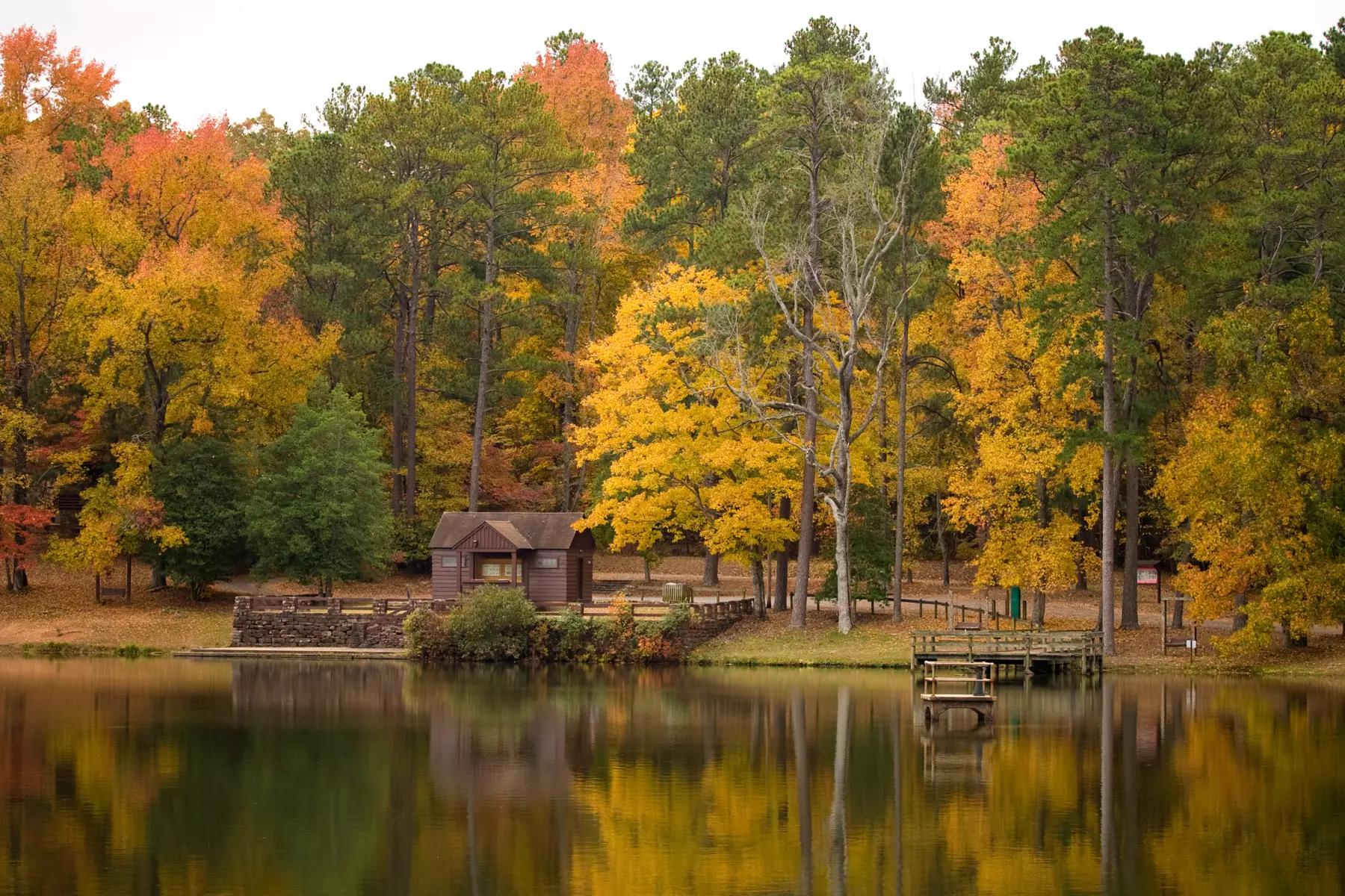 Een hut Pine Mountain Lake