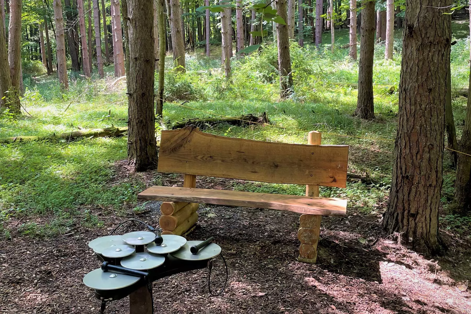 Autism Nature Trail ved Letchworth State Park i New York