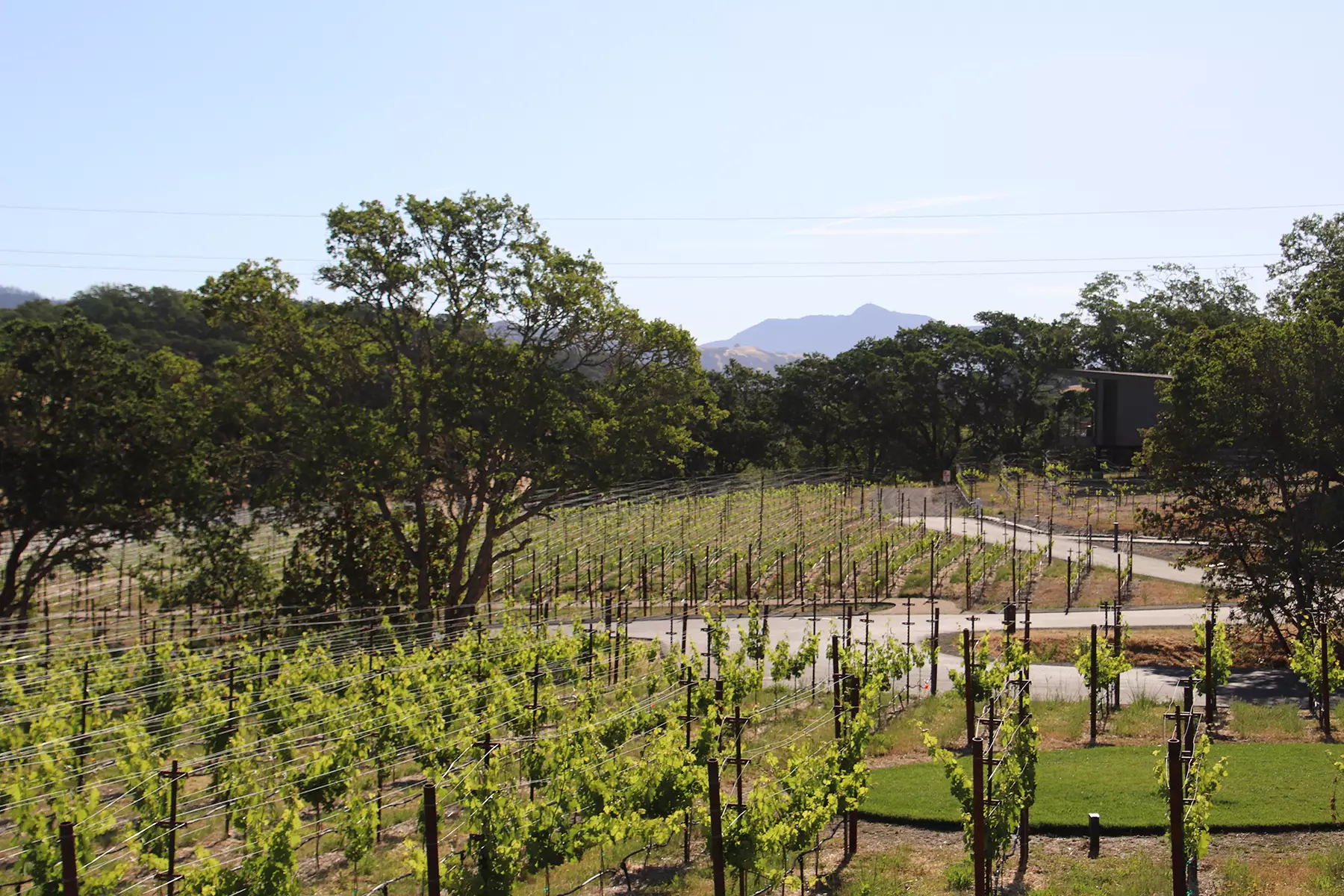 Vineyard View na Montage Healdsburg