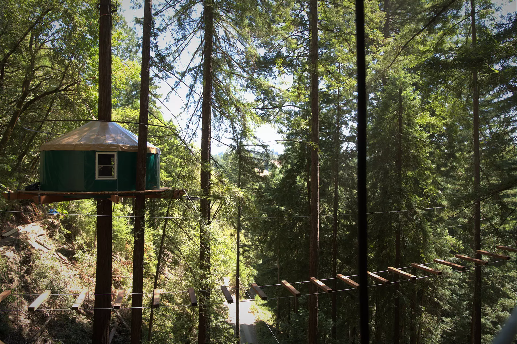 Les cabanes dans les arbres de Sonoma Treehouse Adventure à Occidental, Californie