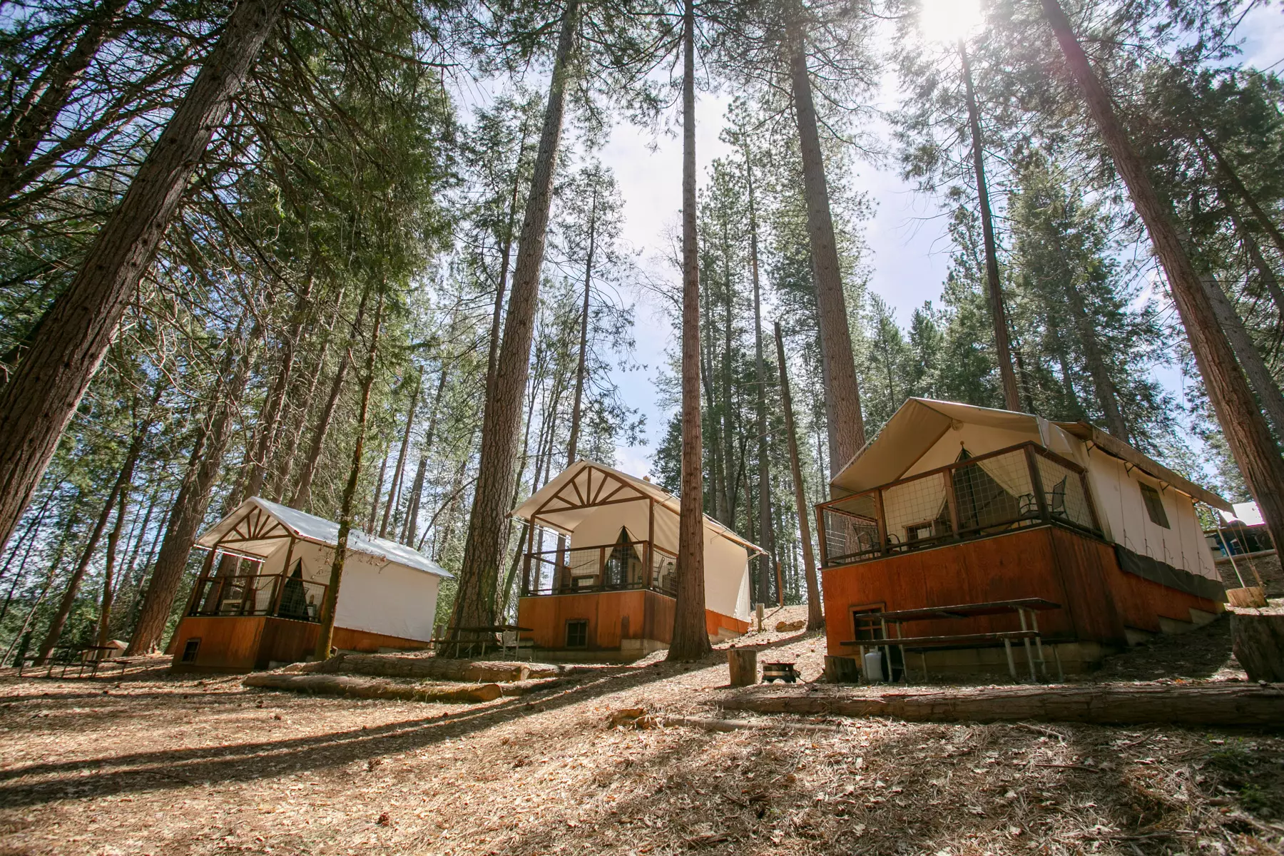 Glamping gisting á Inn Town tjaldsvæðinu í Nevada City, Kaliforníu