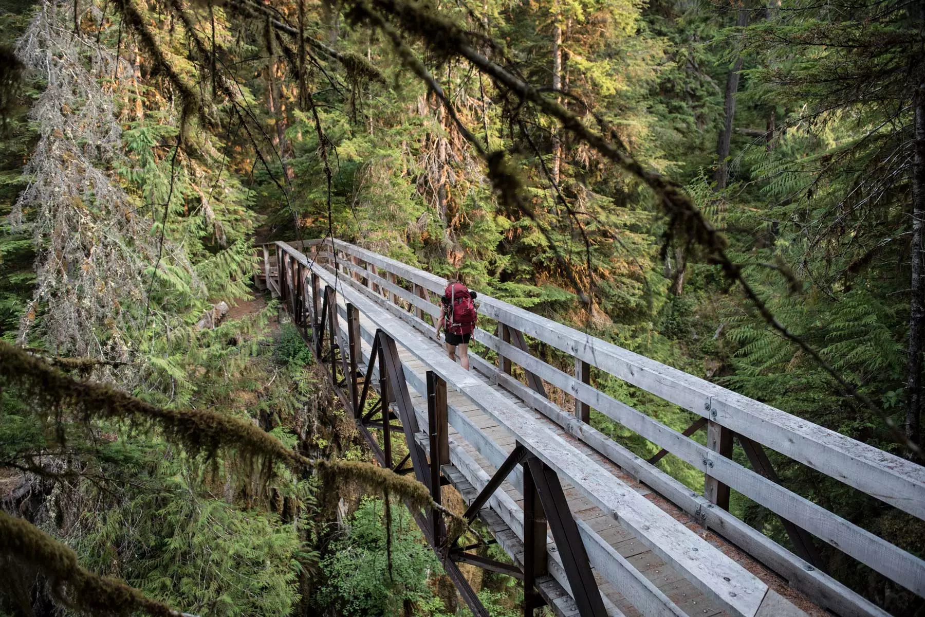 Virino transirante ponton sur la Hoh Rivero-migrovojo