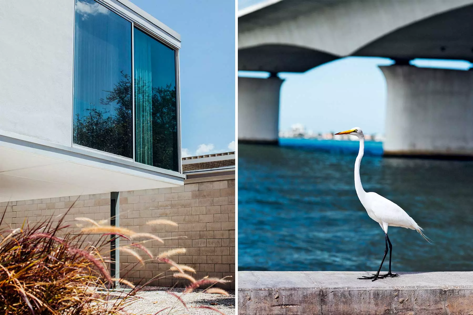 Loro foto saka Sarasota, siji nuduhake njaba omah modern, lan siji nuduhake kreteg karo kuntul ing latar ngarep.