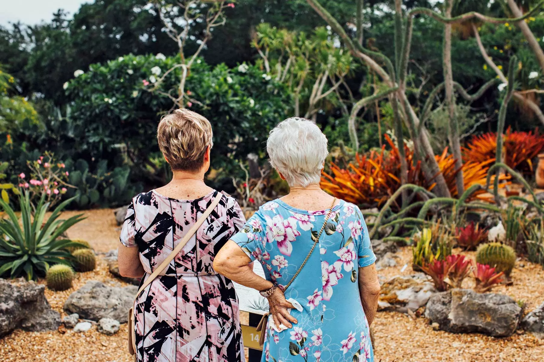 Dúas mulleres paseando por un xardín botánico en Sarasota, Florida