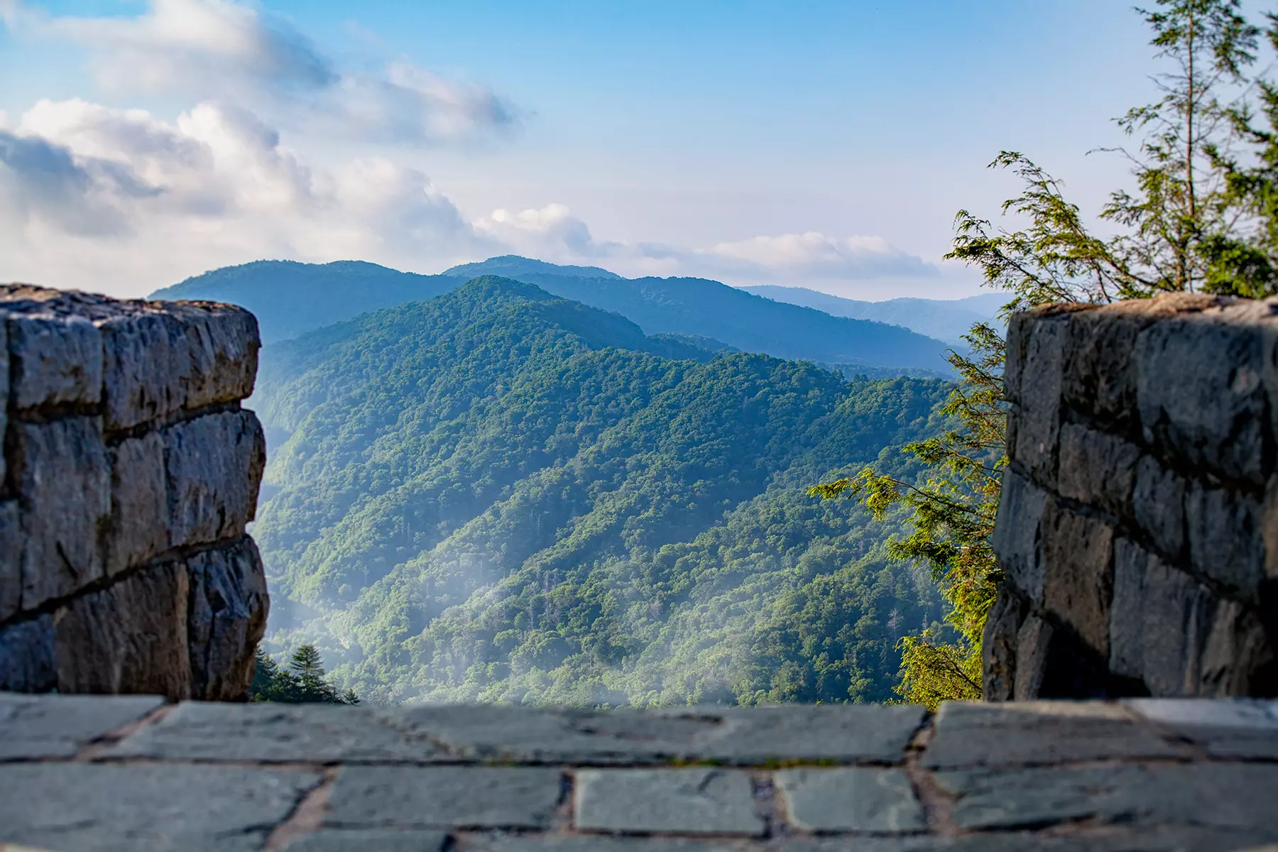 Pogled iz koče z Visit Sevierville