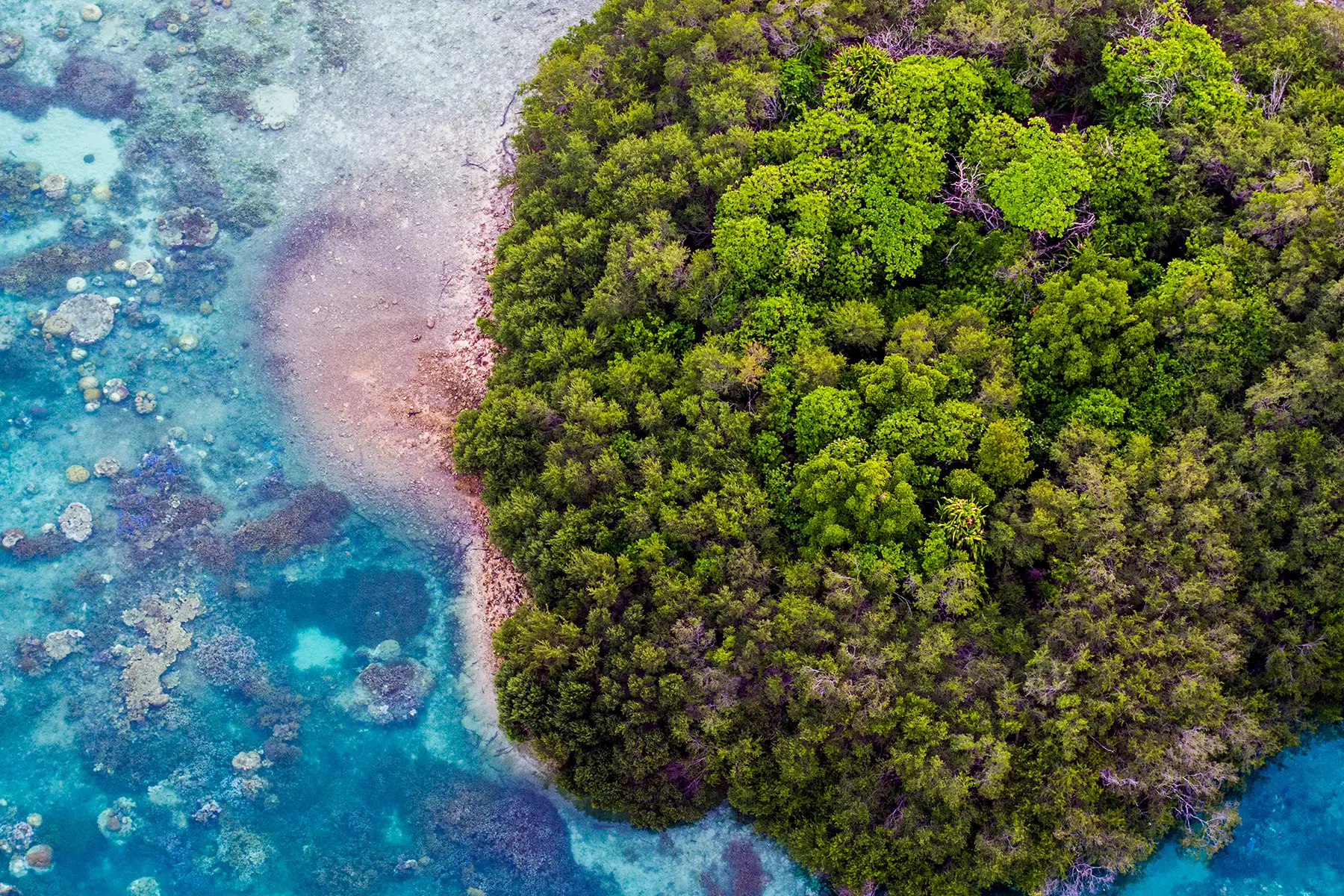 Panempoan hawa pulo pribadi Elang