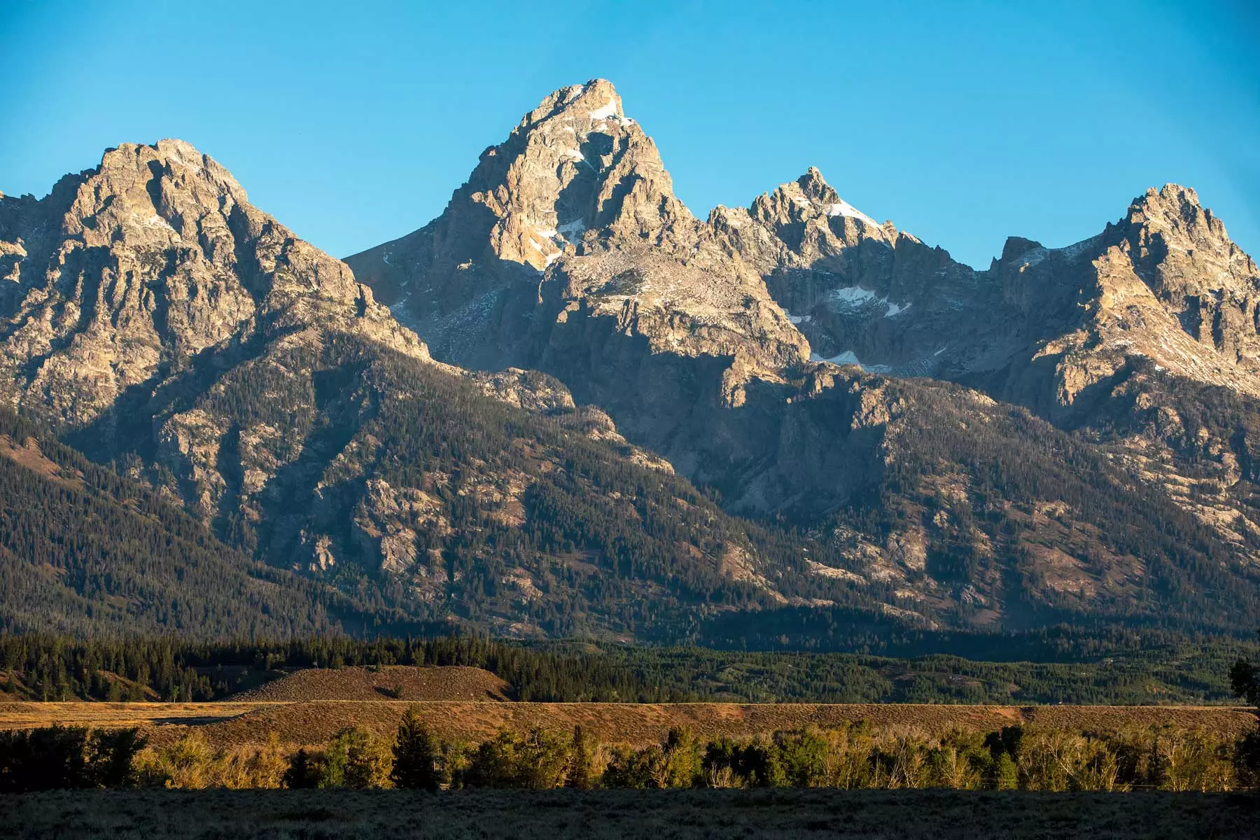 Udsigt over bjergene i Grand Teton National Park