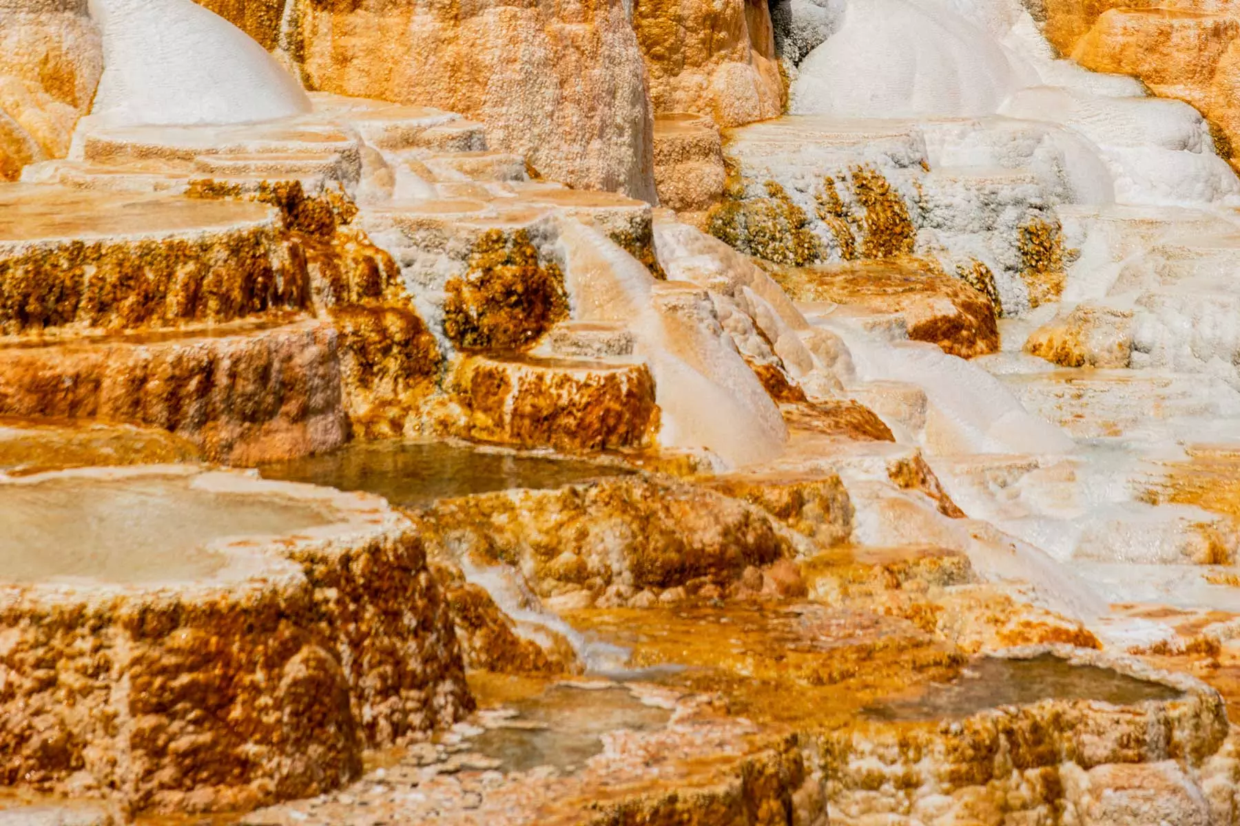 Terasovité minerálne bazény s horúcimi prameňmi v Mammoth Hot Springs v Yellowstonskom národnom parku